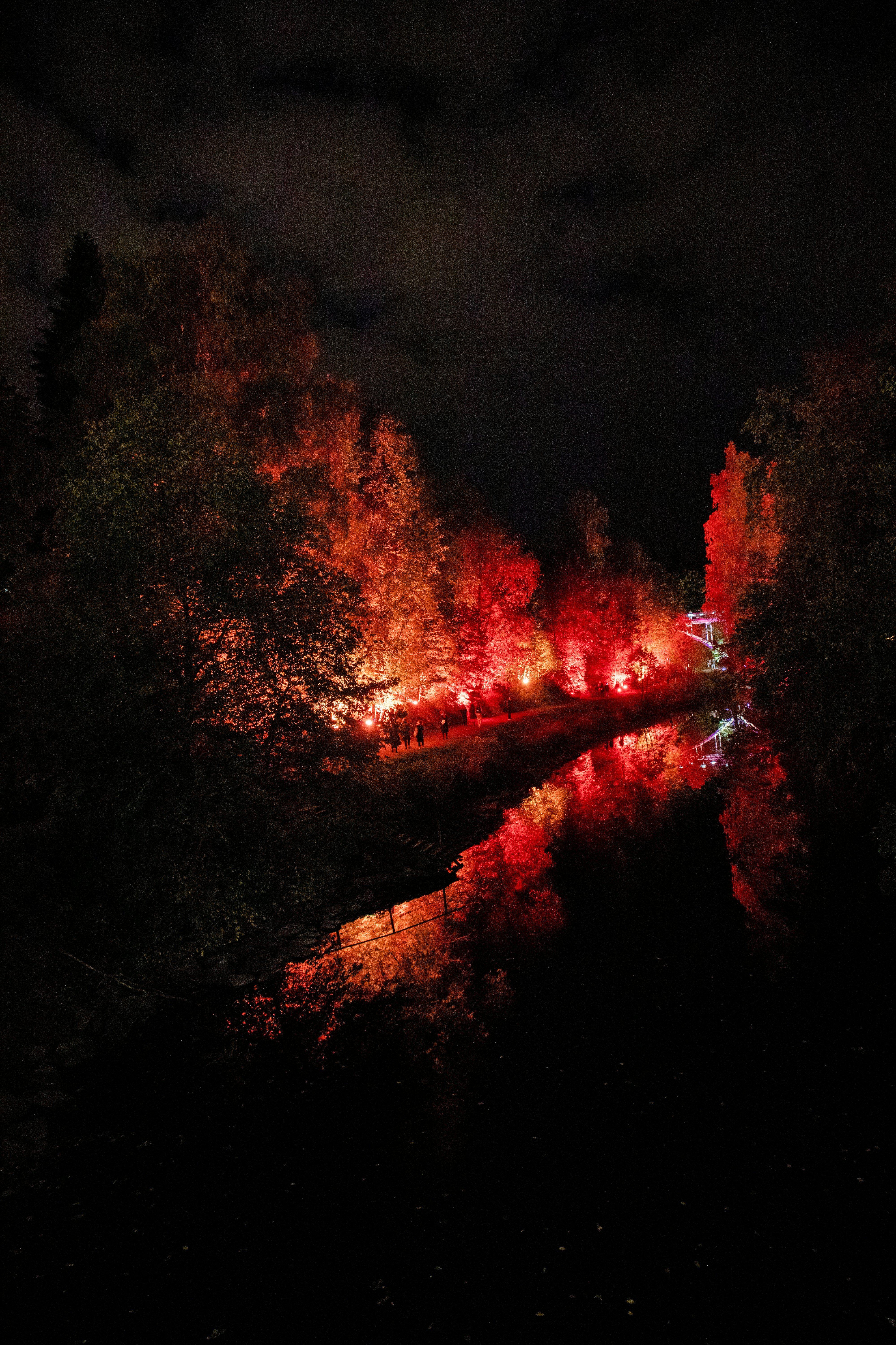 Evening Riverbank in Red Glow