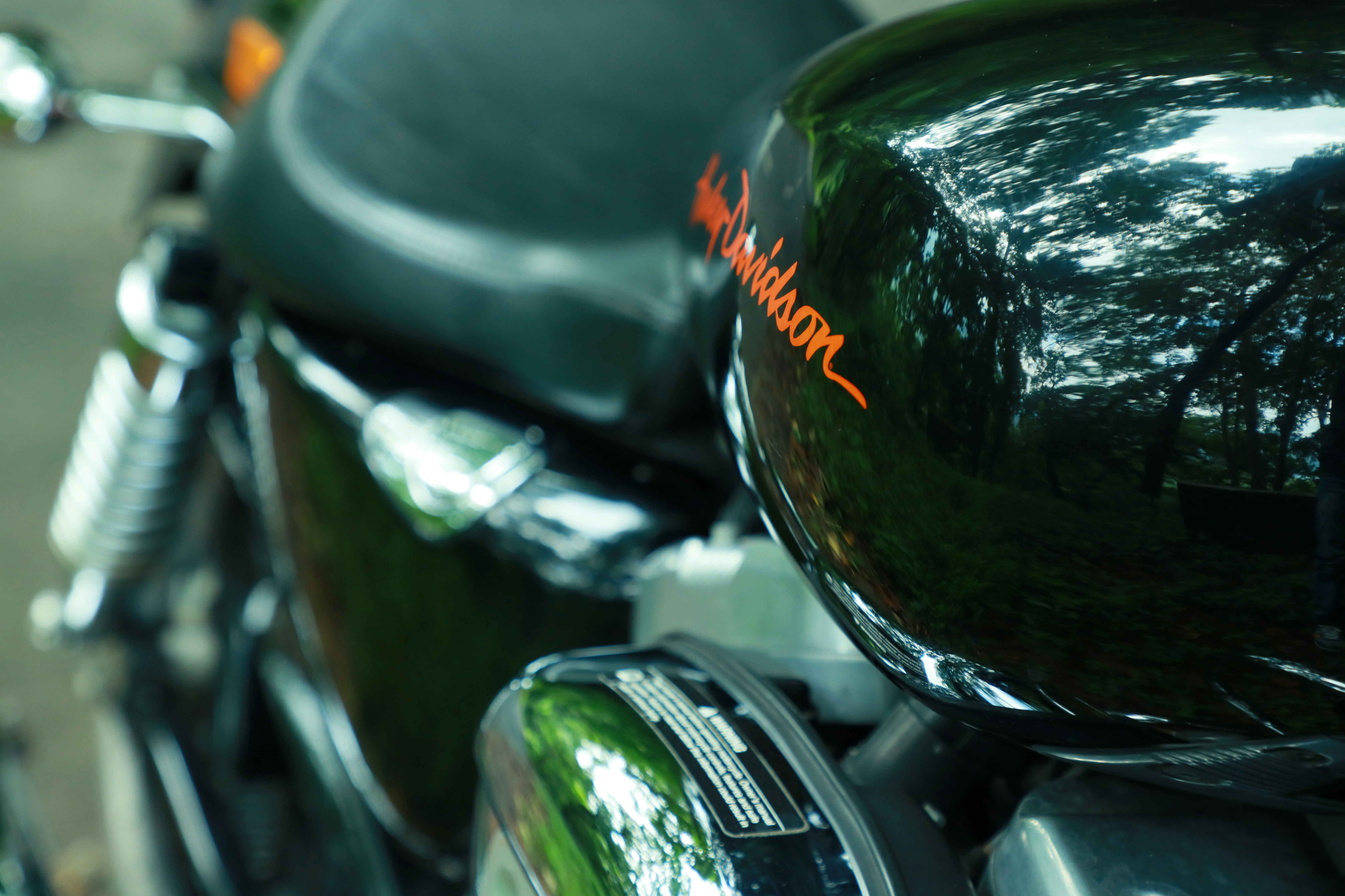 shallow focus photo of black Harley-Davidson cruiser motorcycle