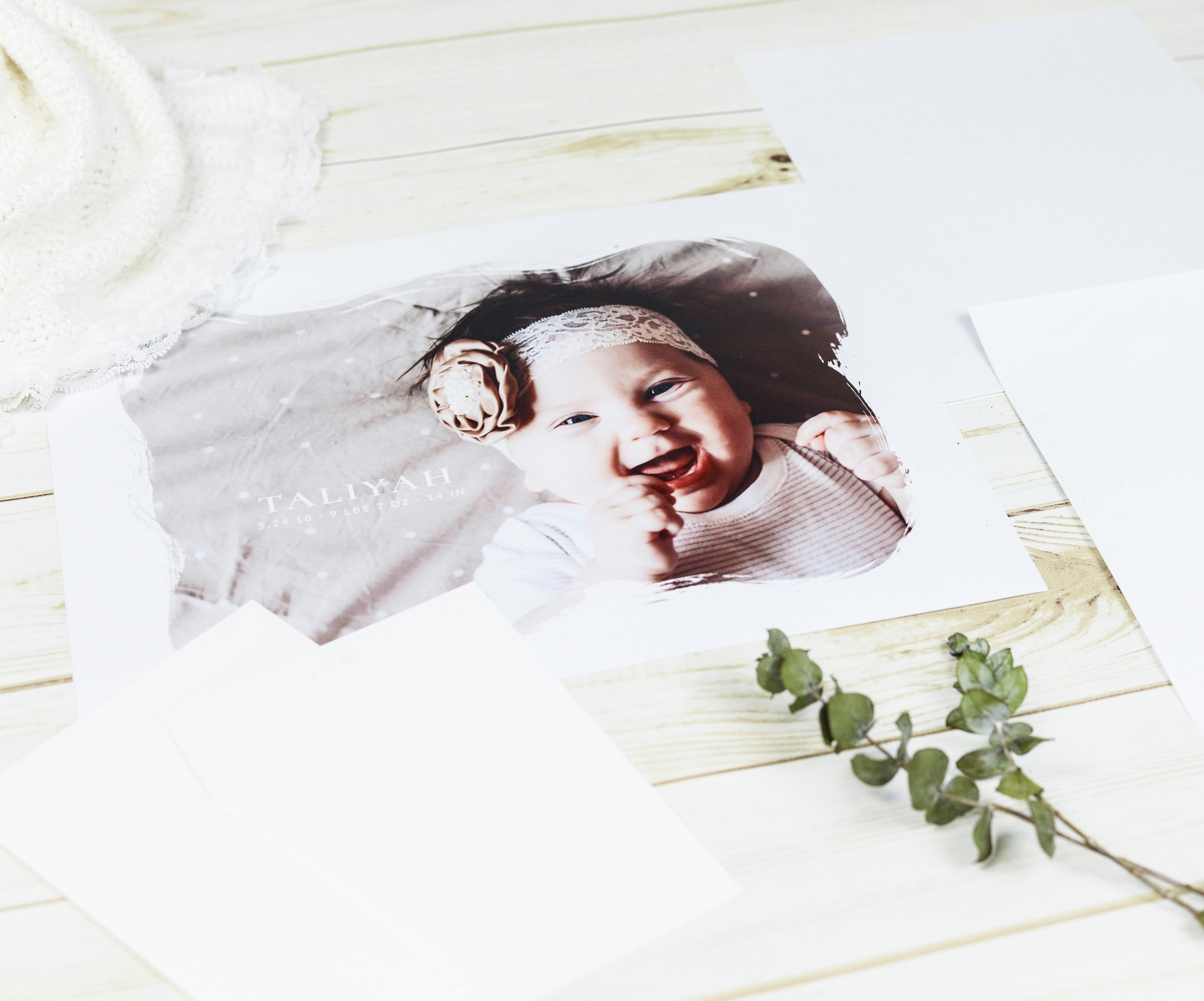 Mockaroon (@mockaroon) | Unsplash Photo Community