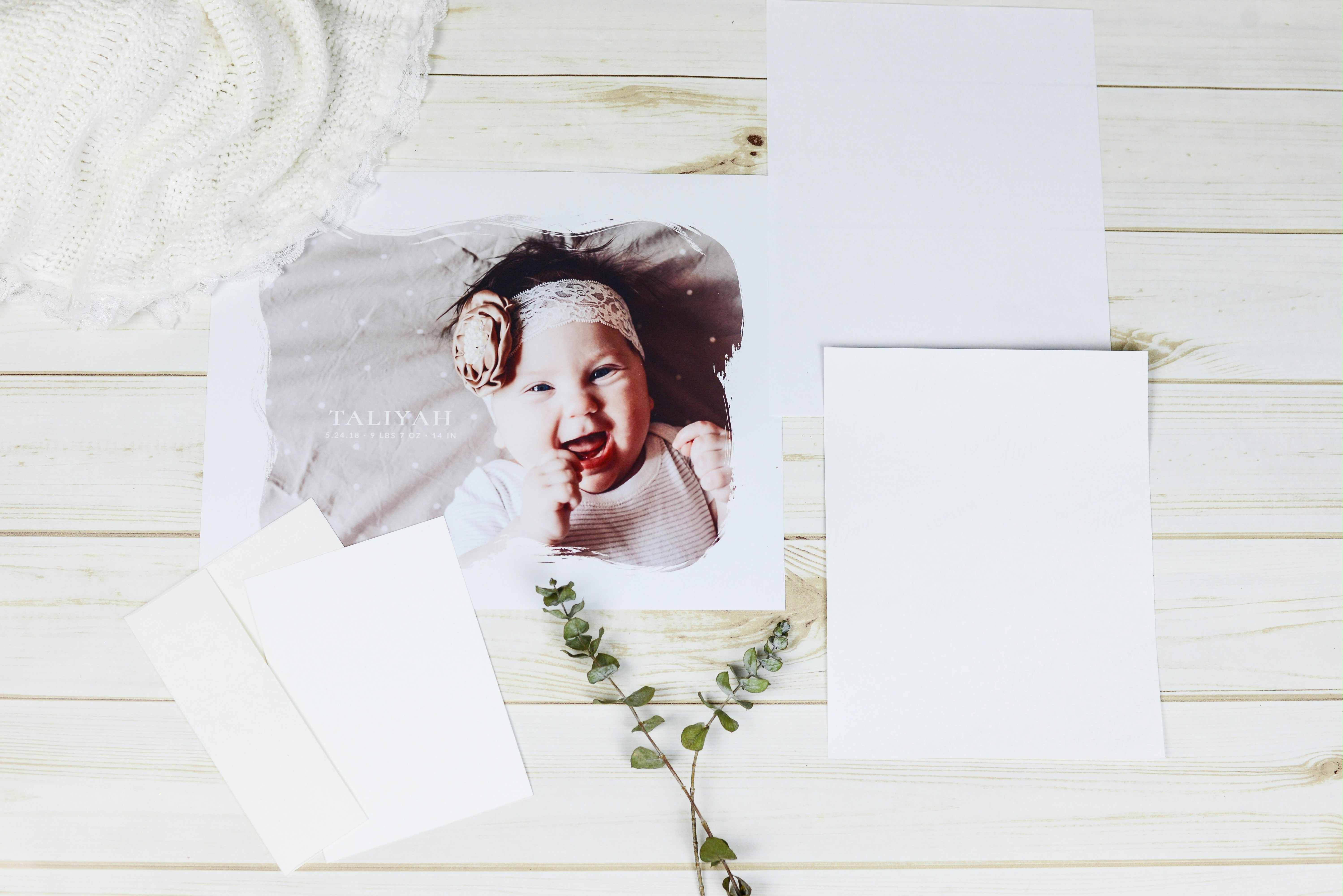 Mockaroon (@mockaroon) | Unsplash Photo Community