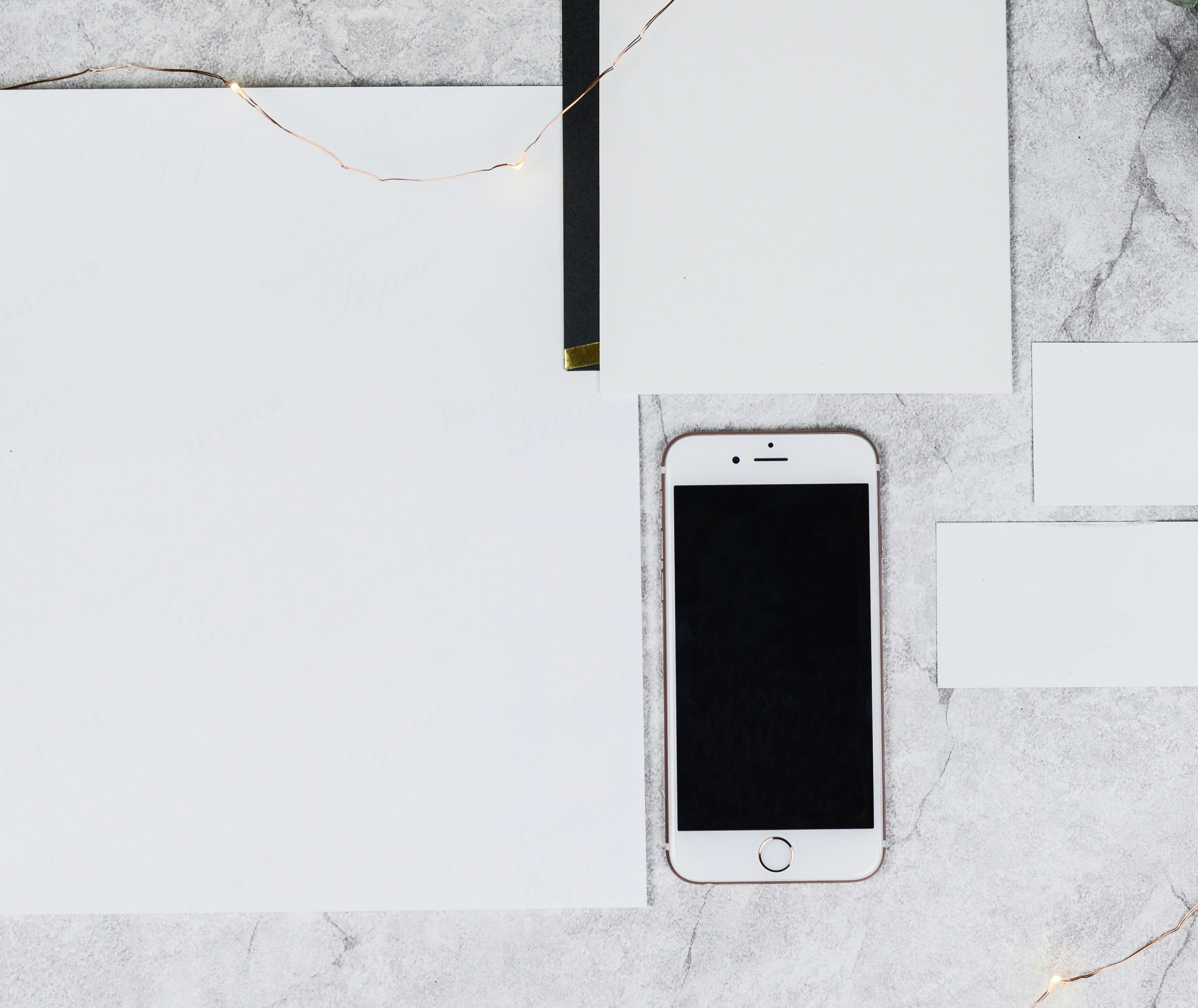 Mockaroon (@mockaroon) | Unsplash Photo Community