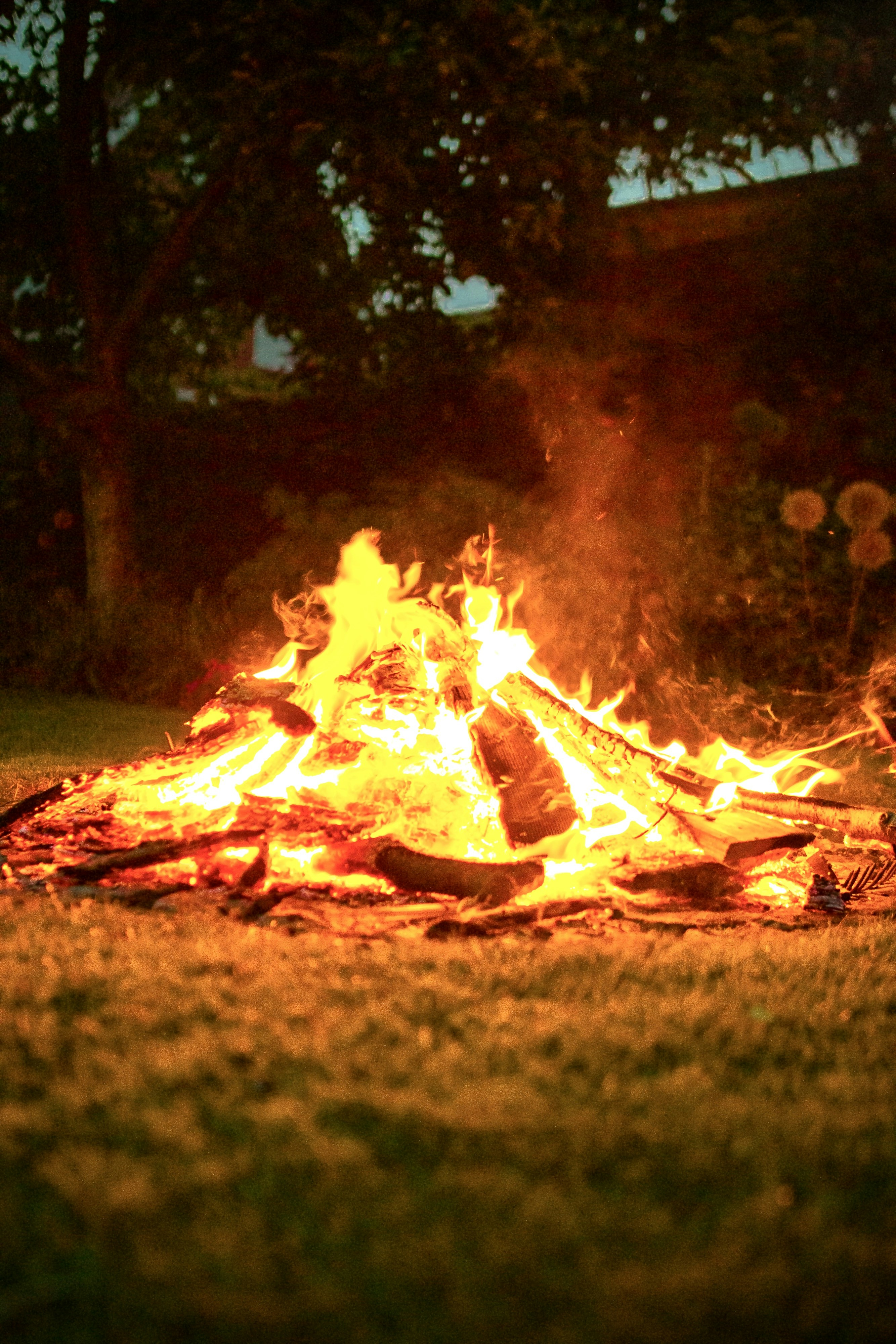 A vibrant bonfire crackles with bright flames, surrounded by logs and grass under a twilight sky.