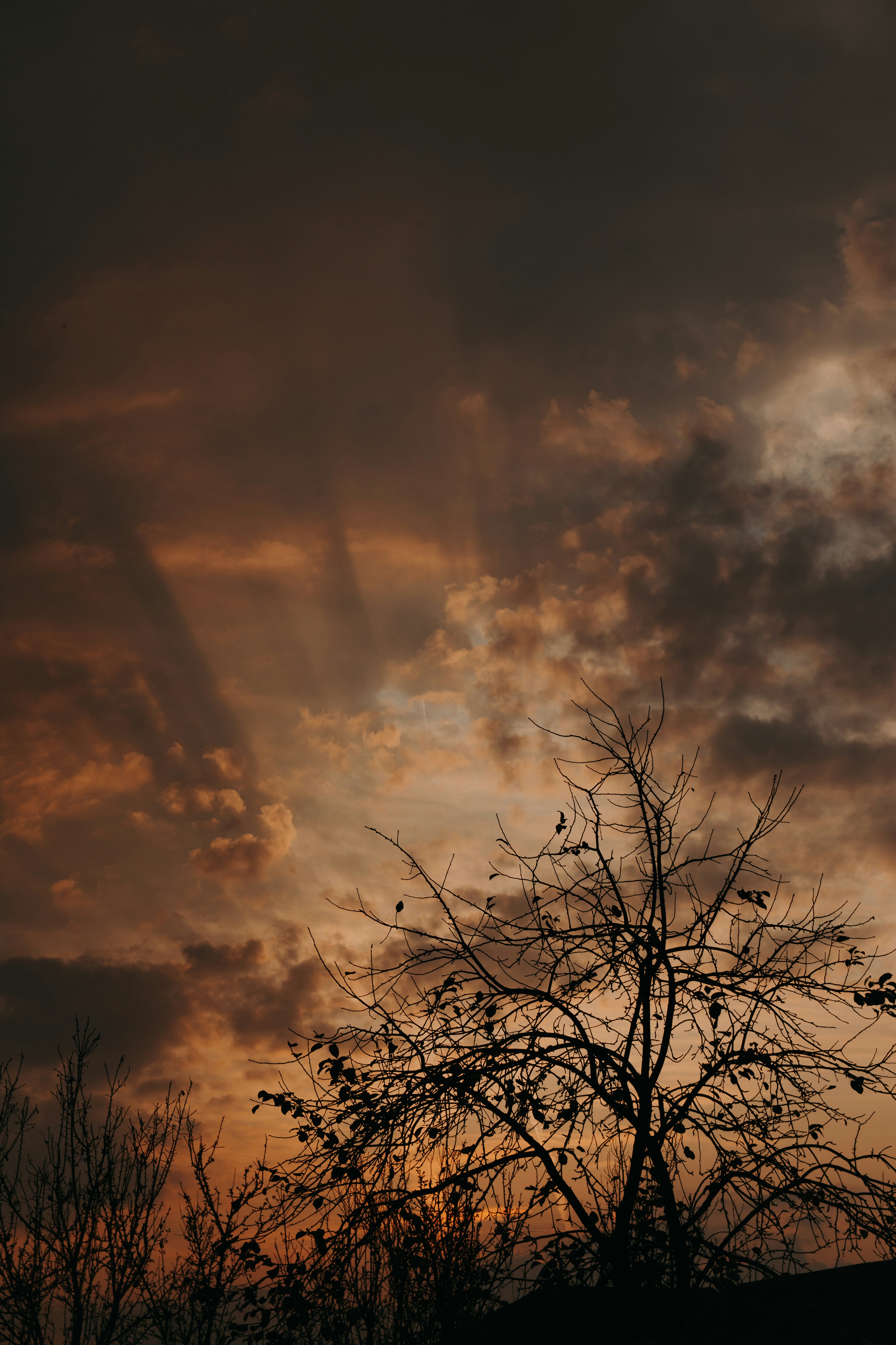 Autumn Sunset Pictures | Download Free Images on Unsplash