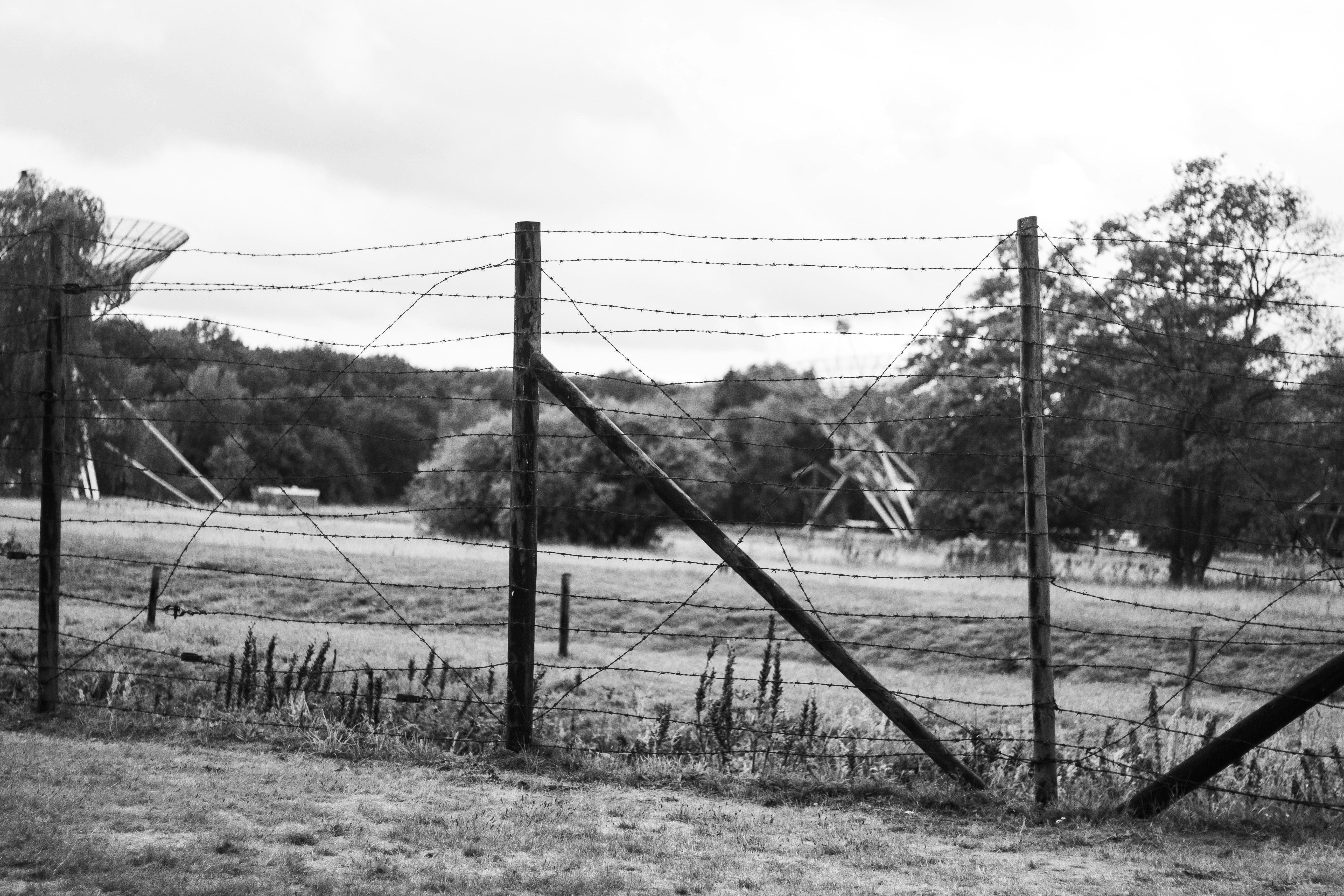 Barbed Boundary: Leaning Posts Across a Quiet Grayscale Field