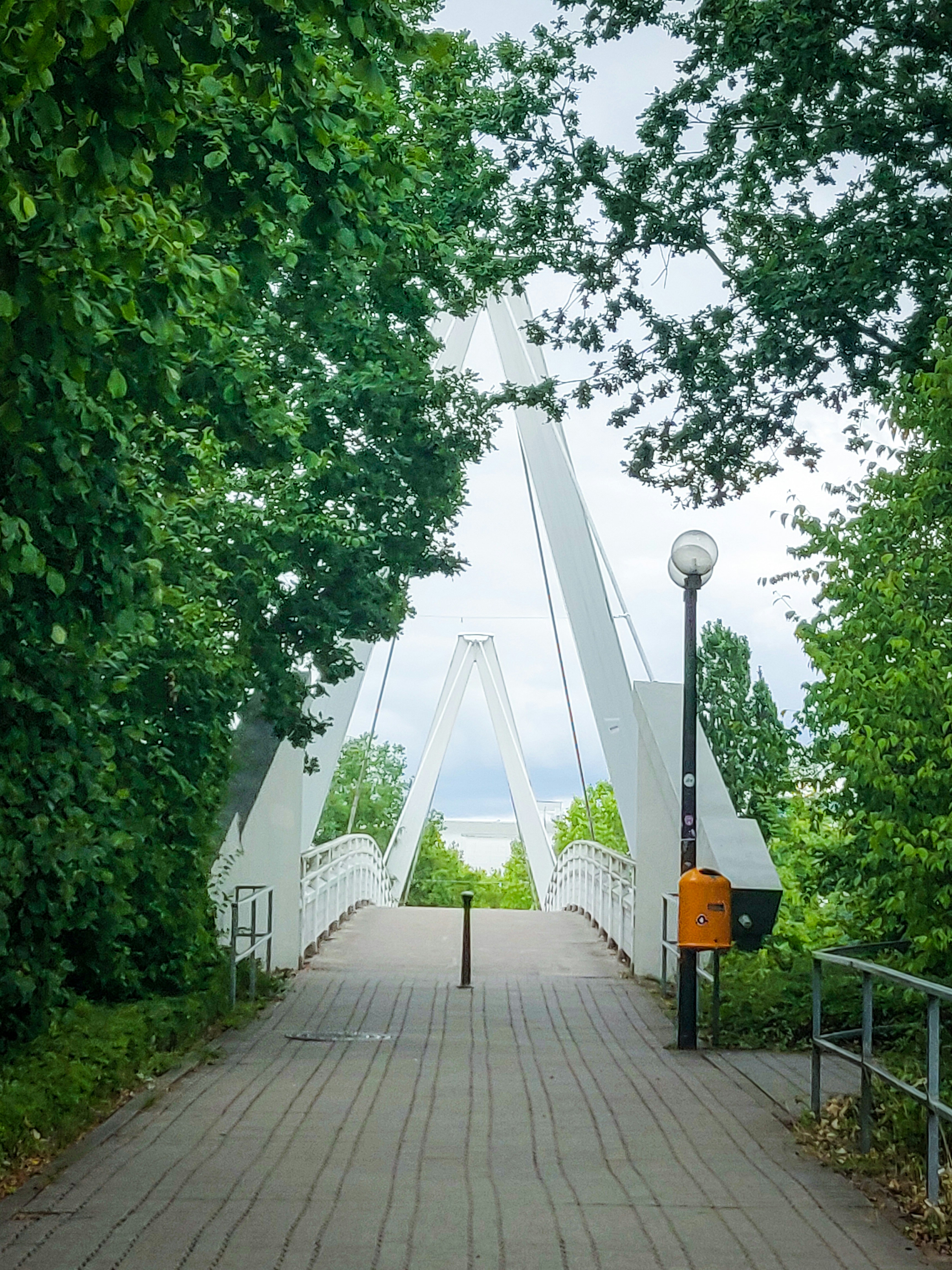 A modern white bridge framed by lush greenery, leading towards a tranquil body of water in the distance.