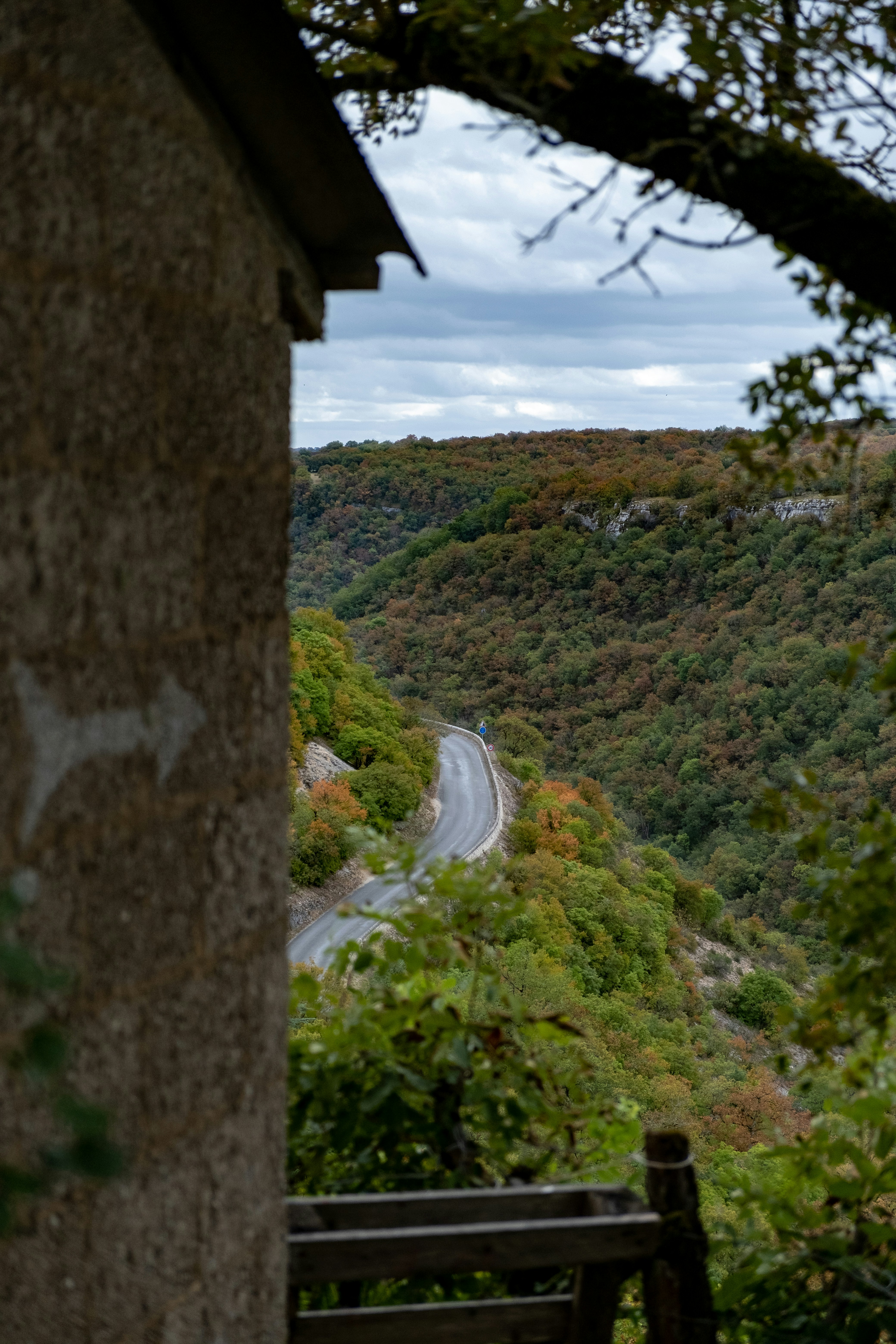 Overlooked Valley Road: Autumn Colors Through a Rustic Vantage