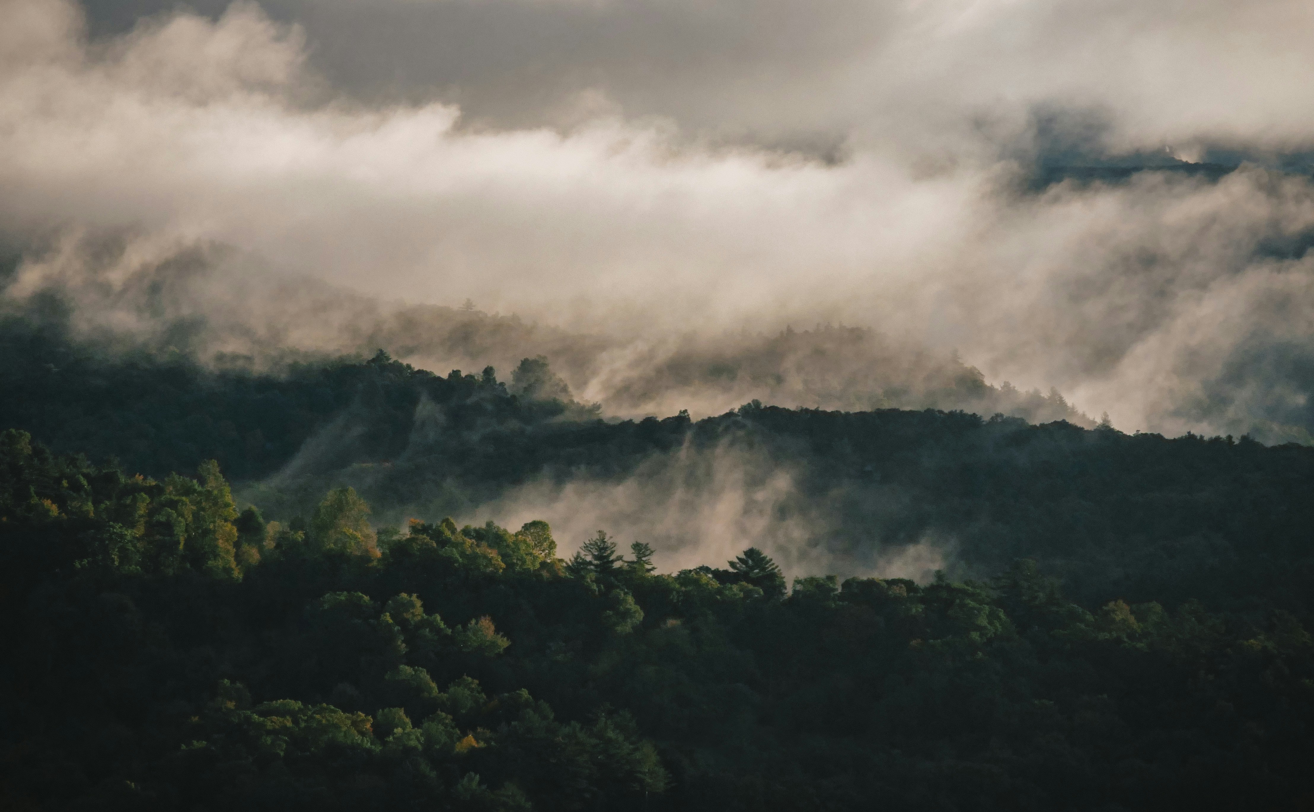 Fog drifts over lush green hills beneath a cloudy sky in the Smoky Mountains.