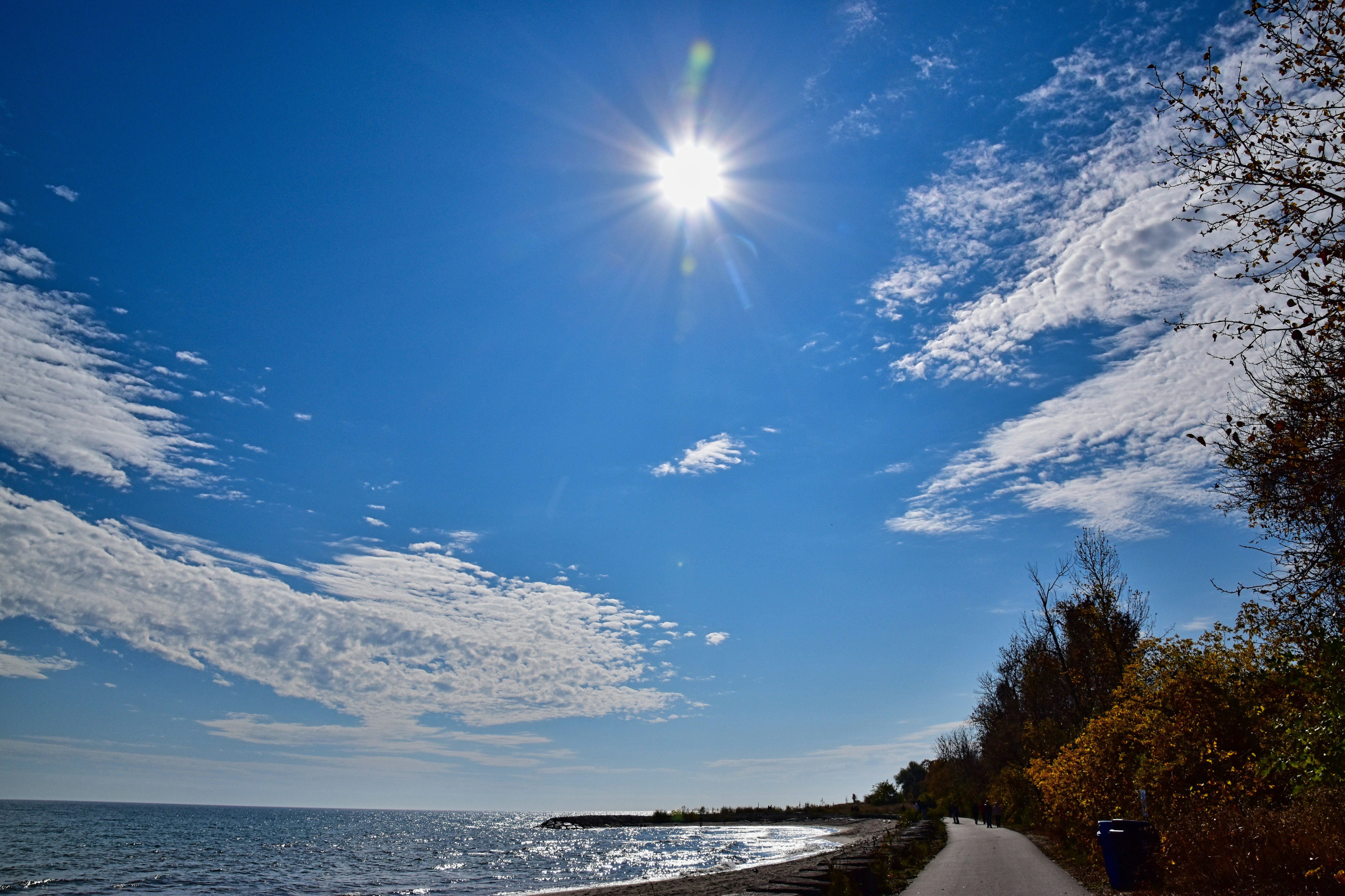 Vibrant blue sky with wispy clouds over a tranquil shoreline, where the sun reflects on the water's surface.