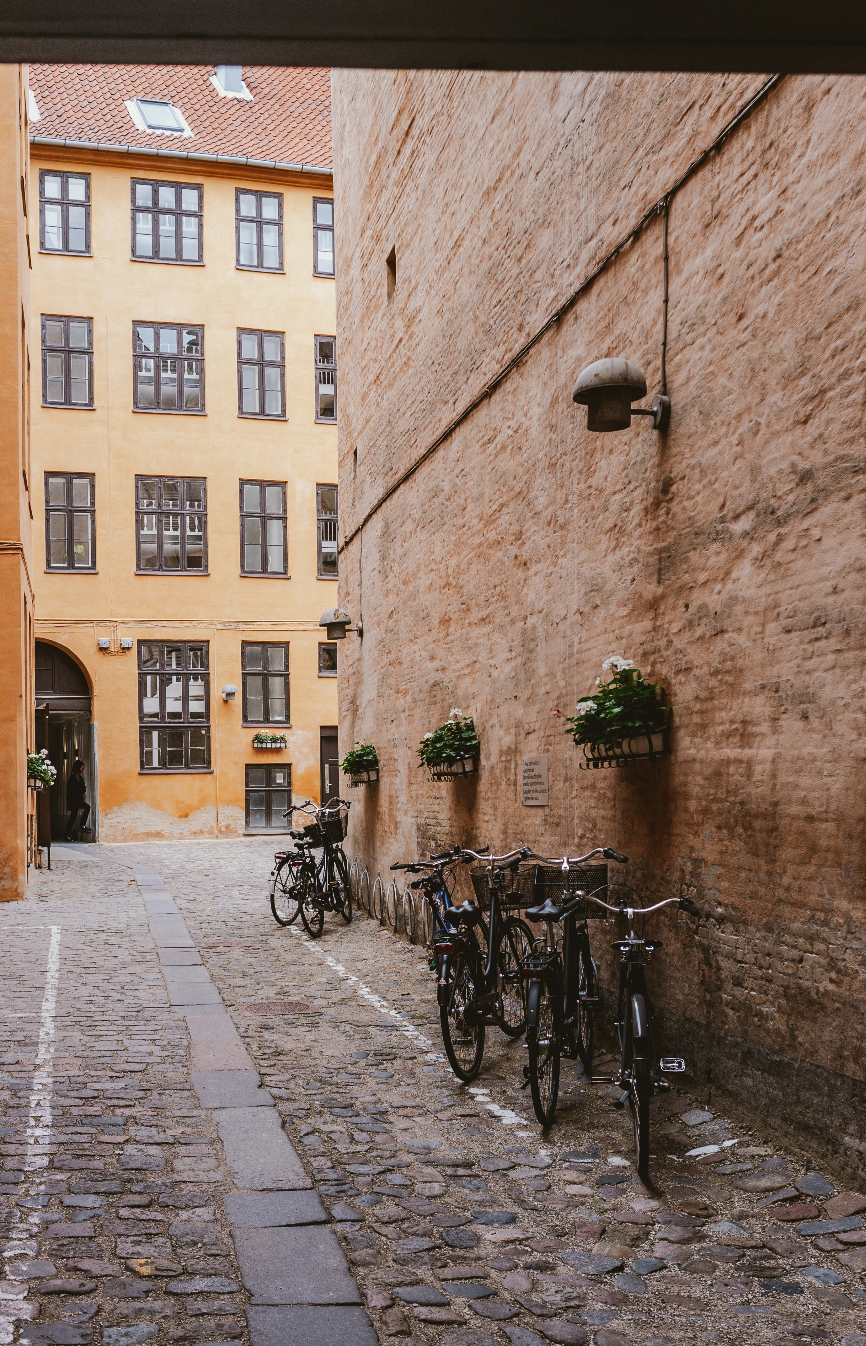 Charming cobblestone alleyway lined with bicycles and adorned with potted plants, leading to a warm yellow building with large windows.