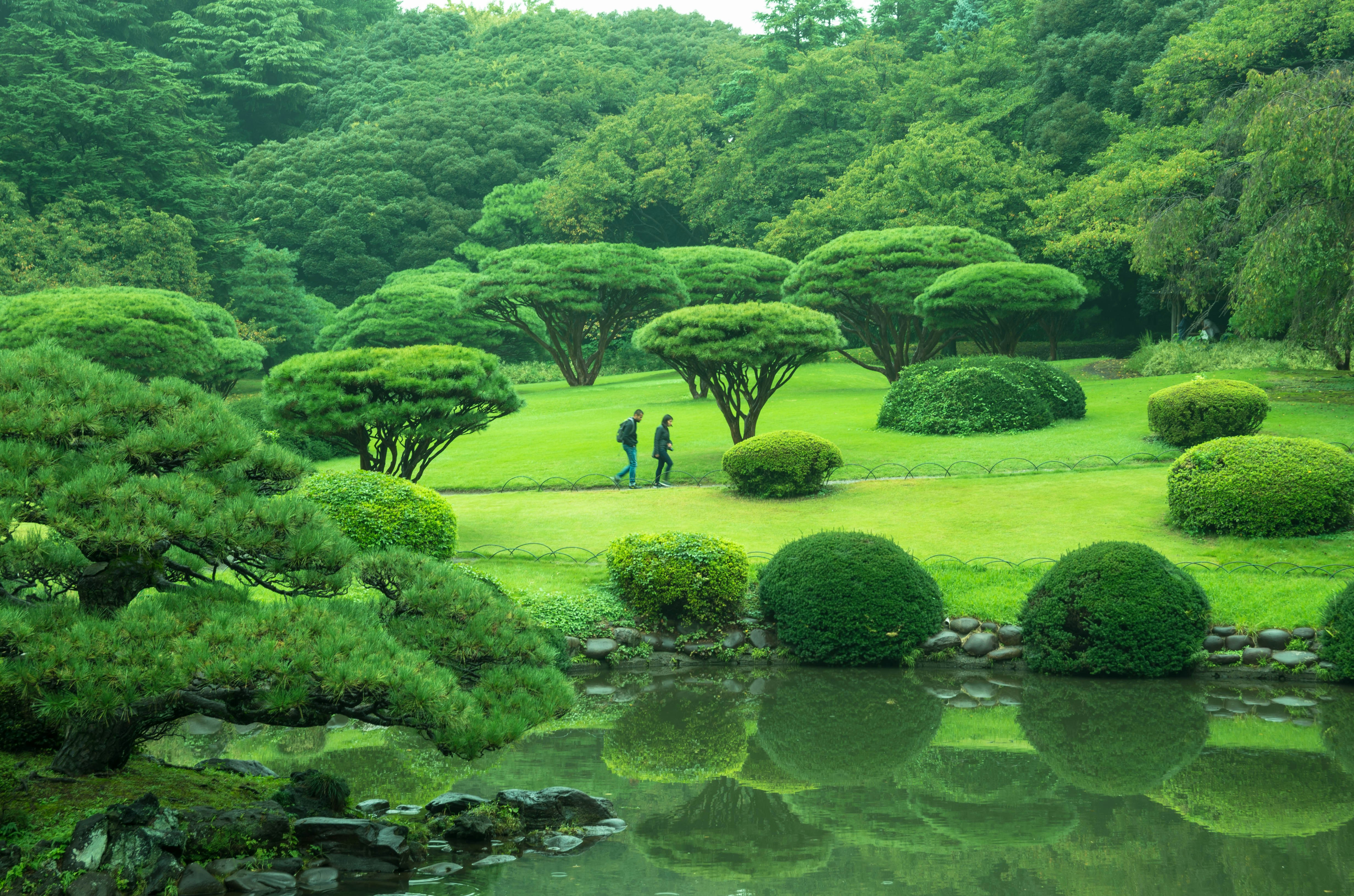 Two figures walking through a meticulously landscaped garden filled with vibrant greenery and reflective water. The scene emphasizes tranquility and natural beauty.