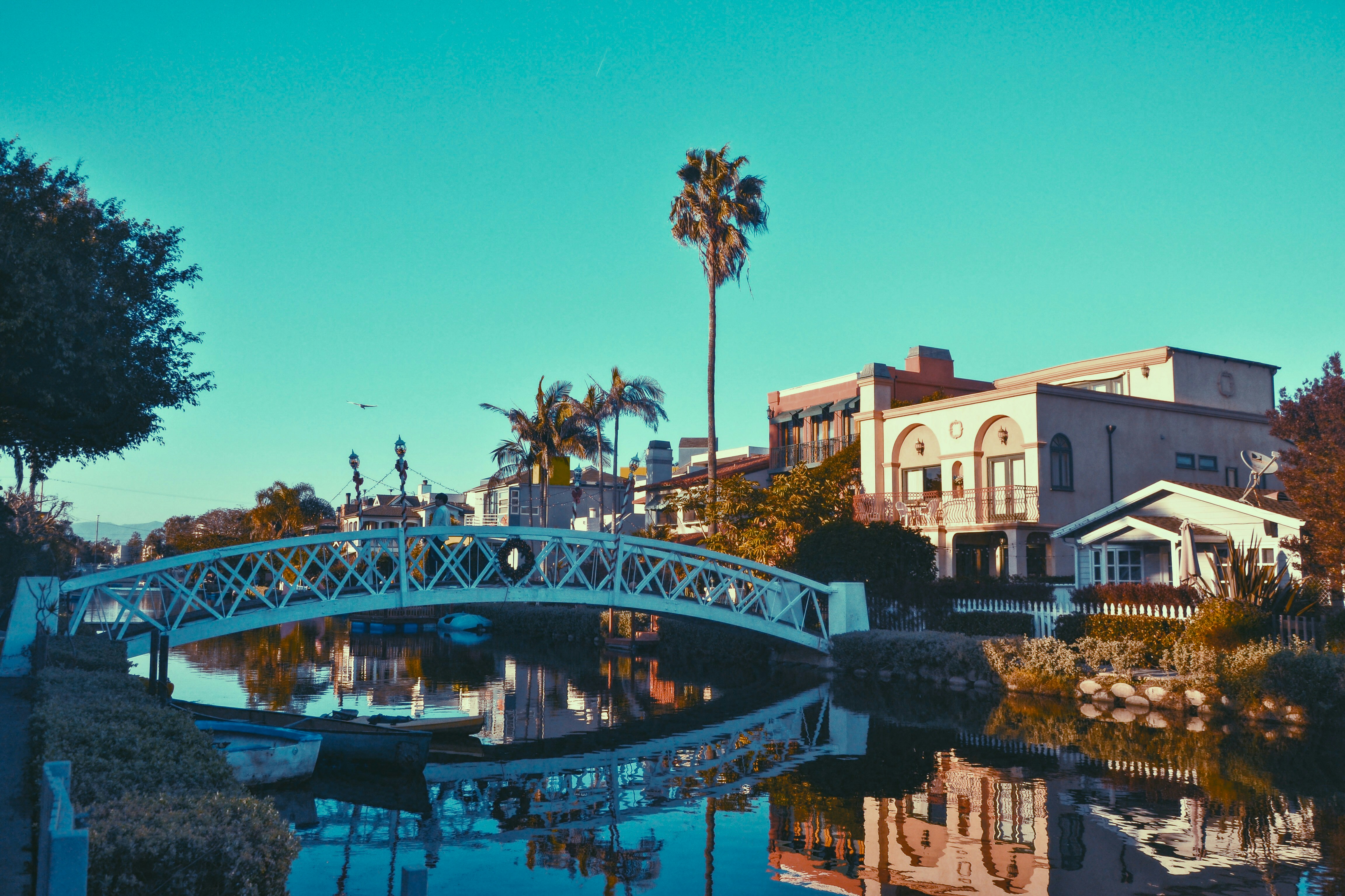 Charming canal scene featuring a decorative bridge and lush palm trees, reflecting the vibrant architecture of nearby homes.