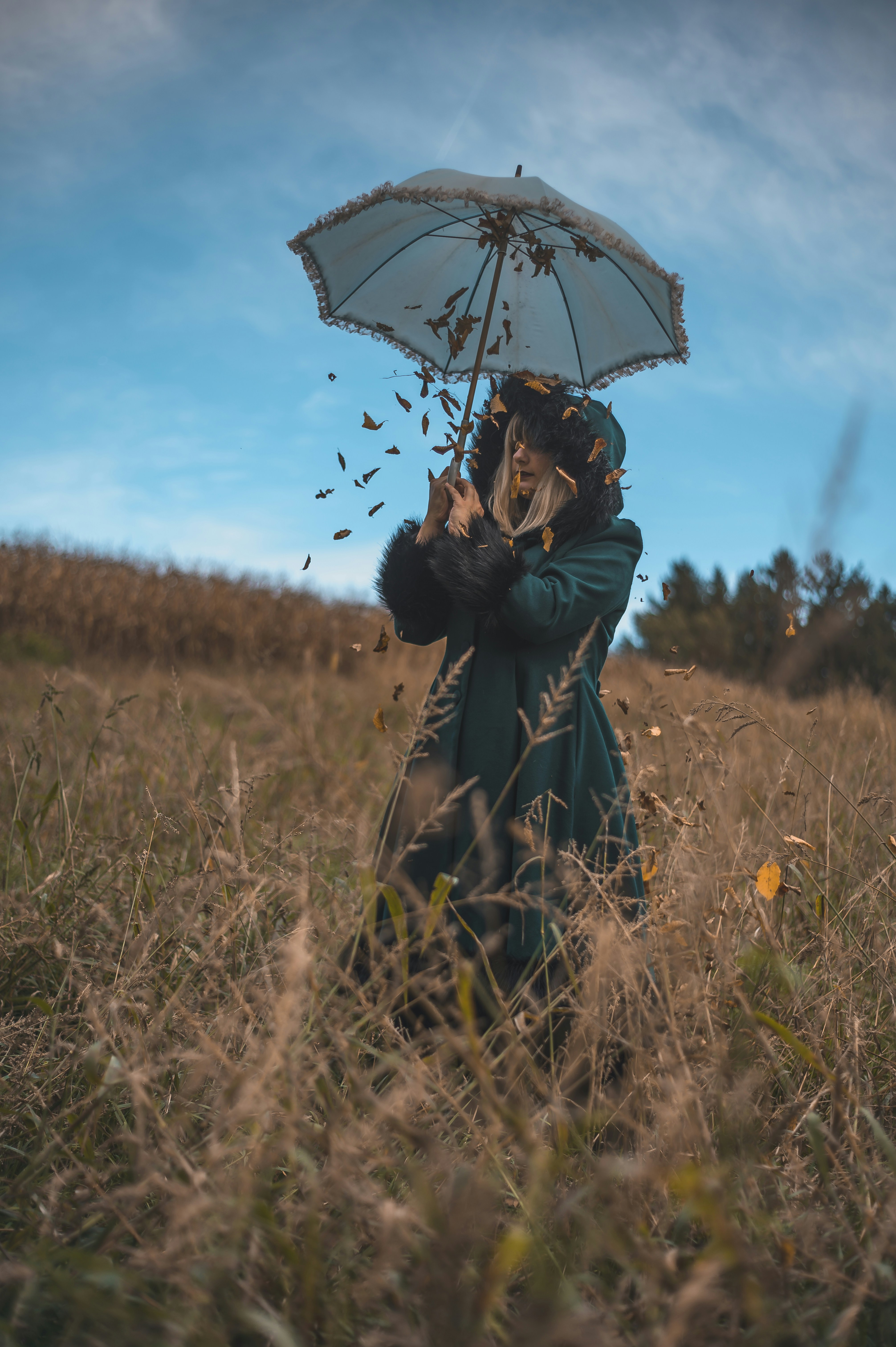 Dreams About Falling: 15 Powerful Meanings You Need to Know (2025) 💤 ...