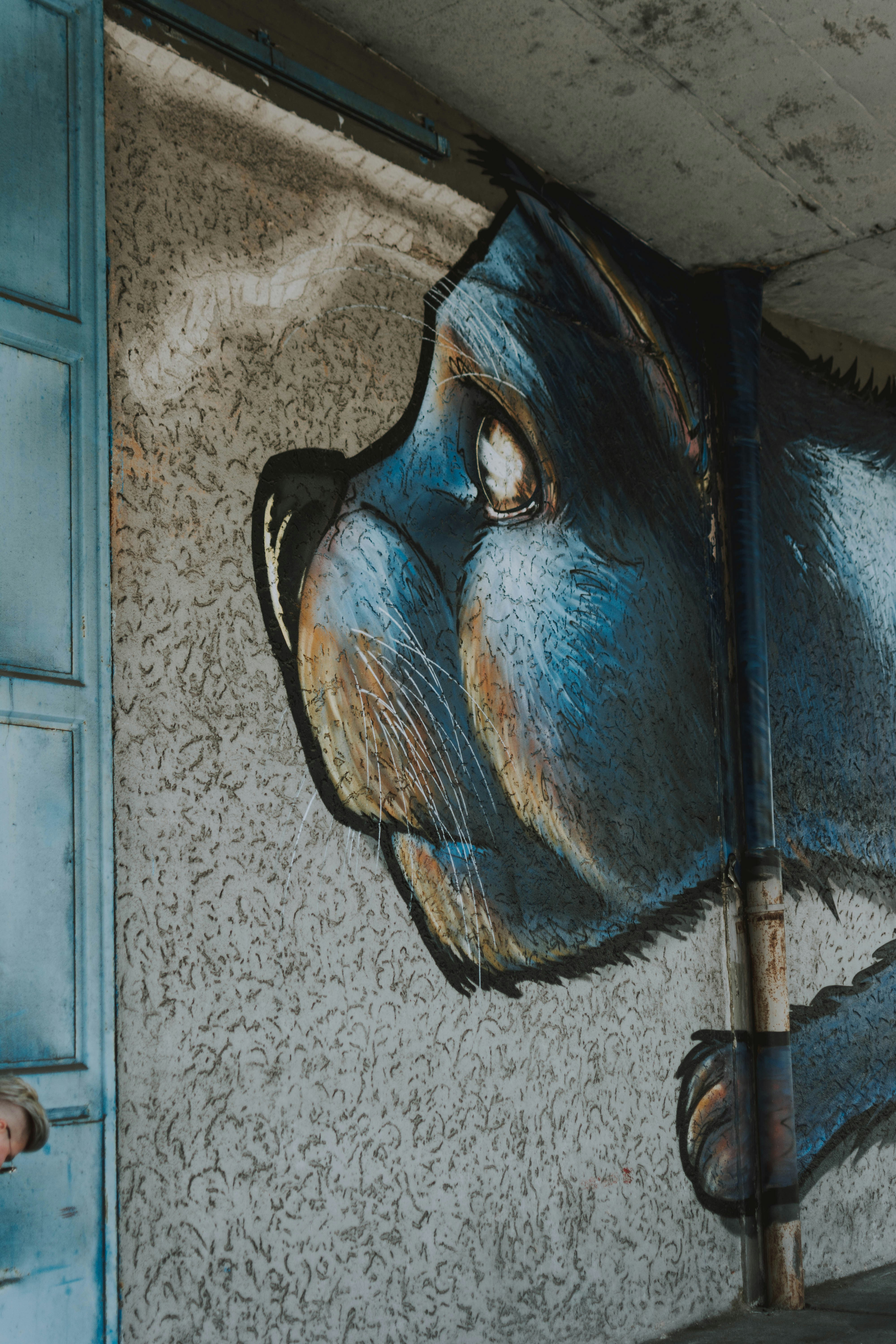 Blue Coronet: Graffiti Dragon on a Weathered Wall