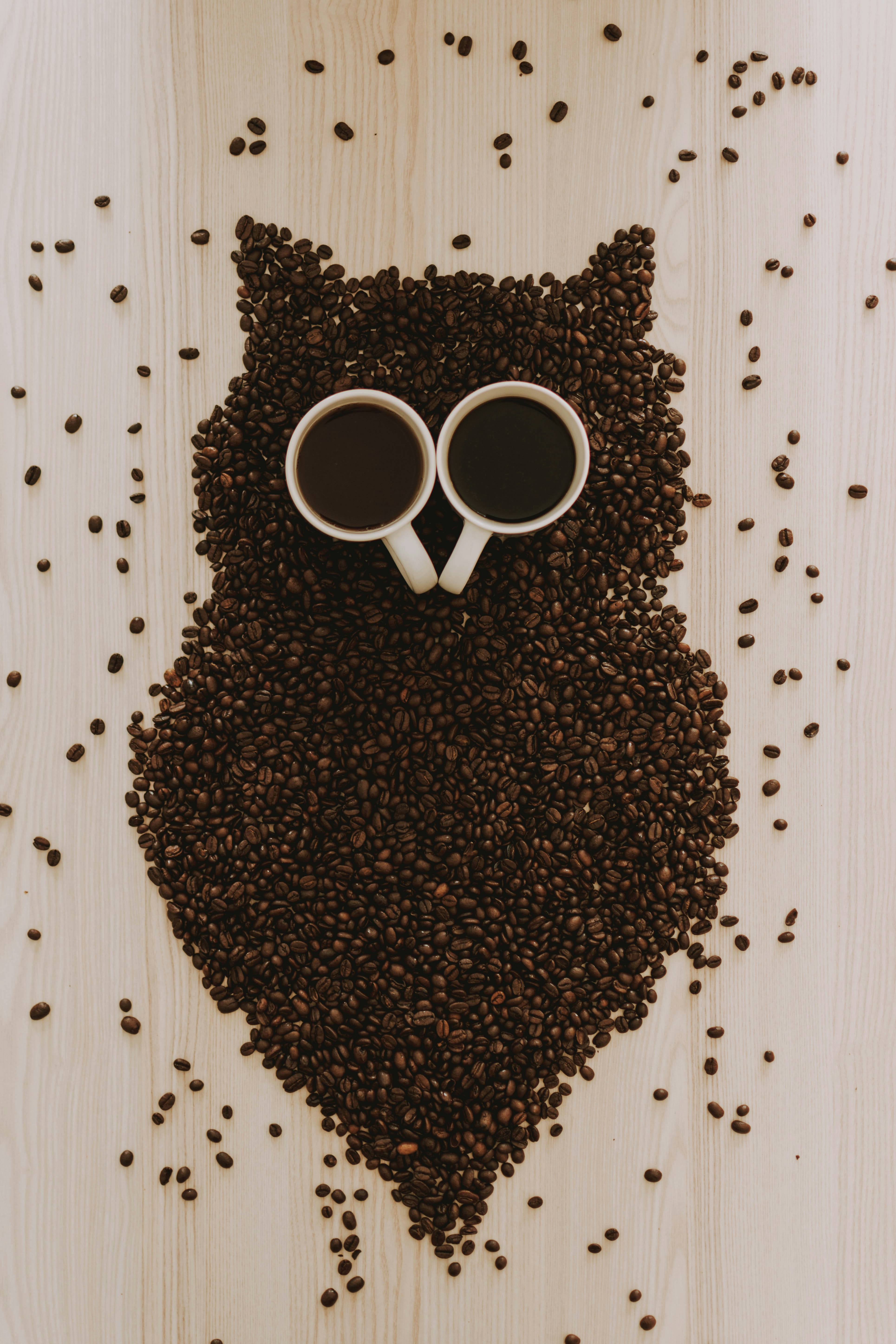 Night Owl in Beans: A Coffee-Crafted Silhouette with Cup-Eyes