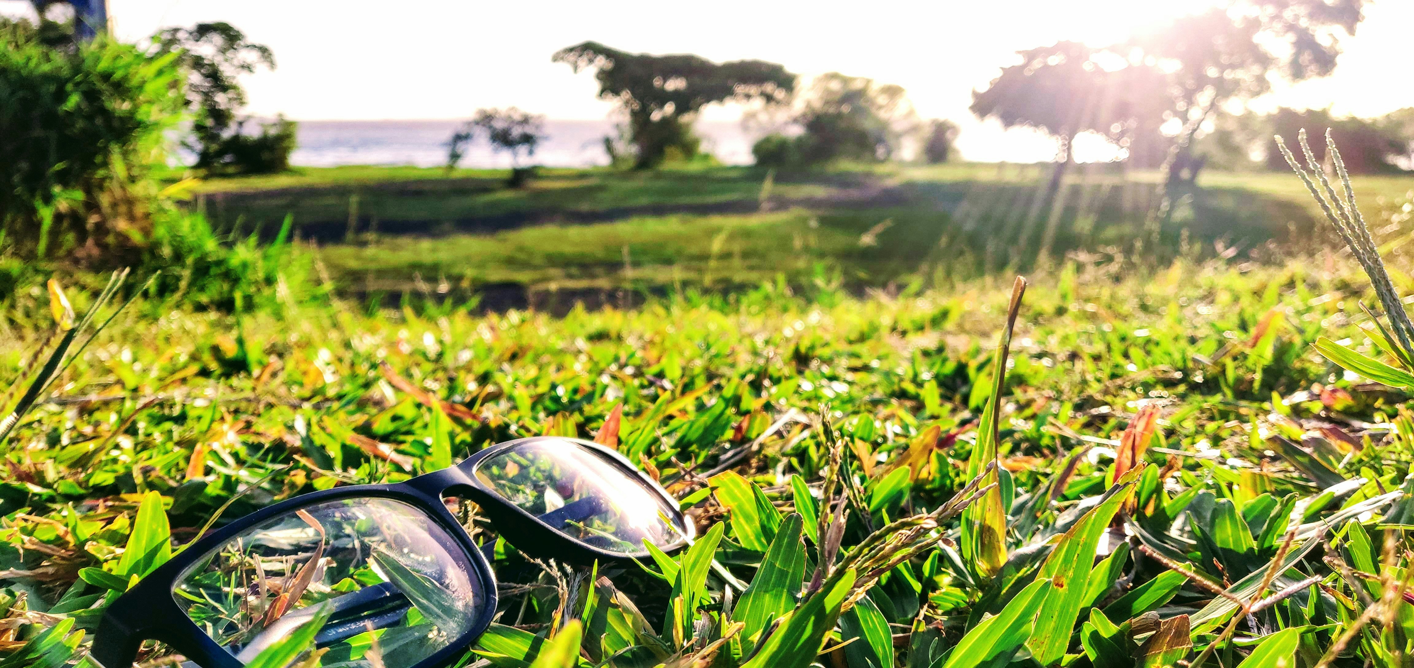 Sunlit Reflection: Eyewear in a Meadow