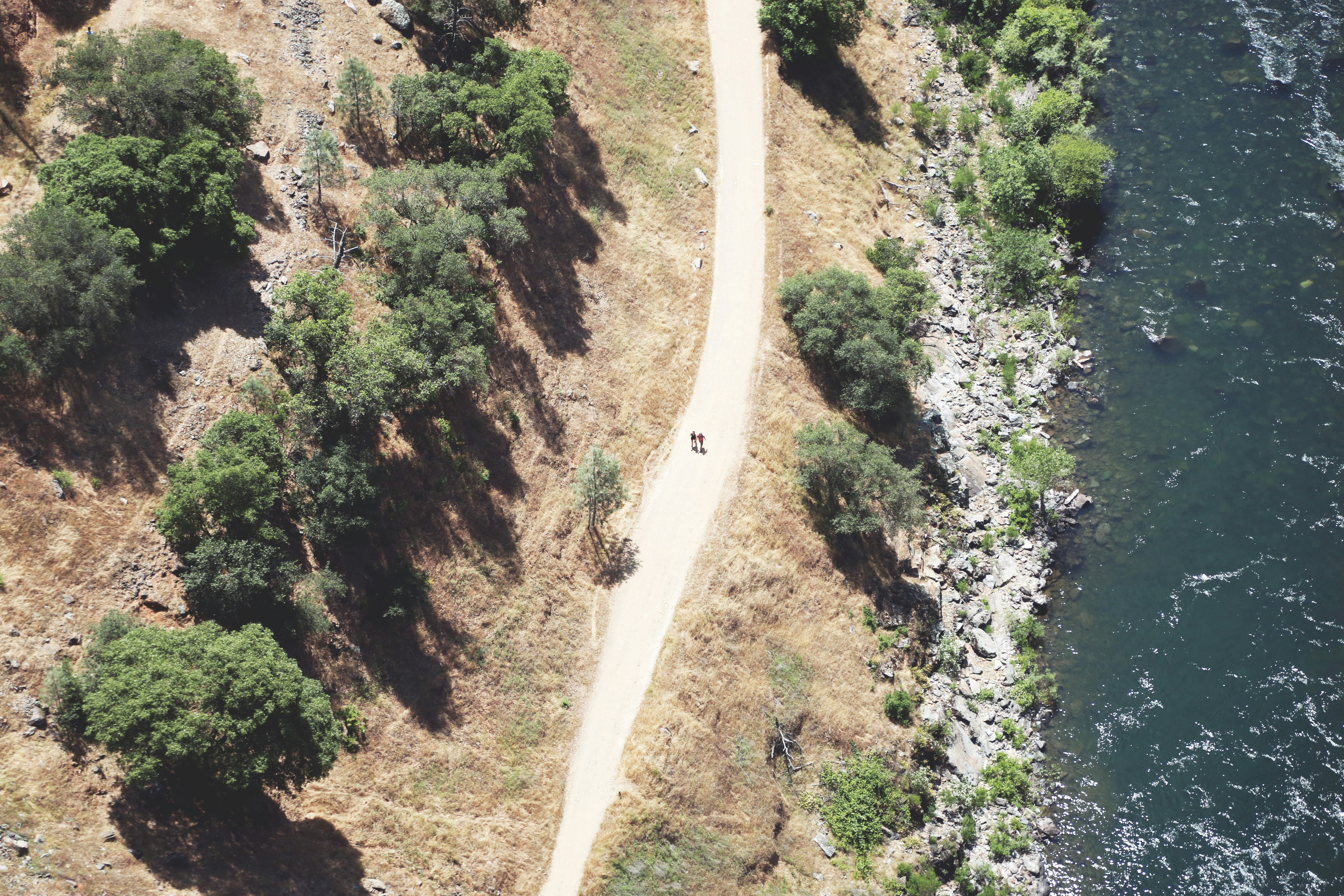 Two Hikers on a Sunlit Dirt Trail Skirting a Pine-Fringed Coast