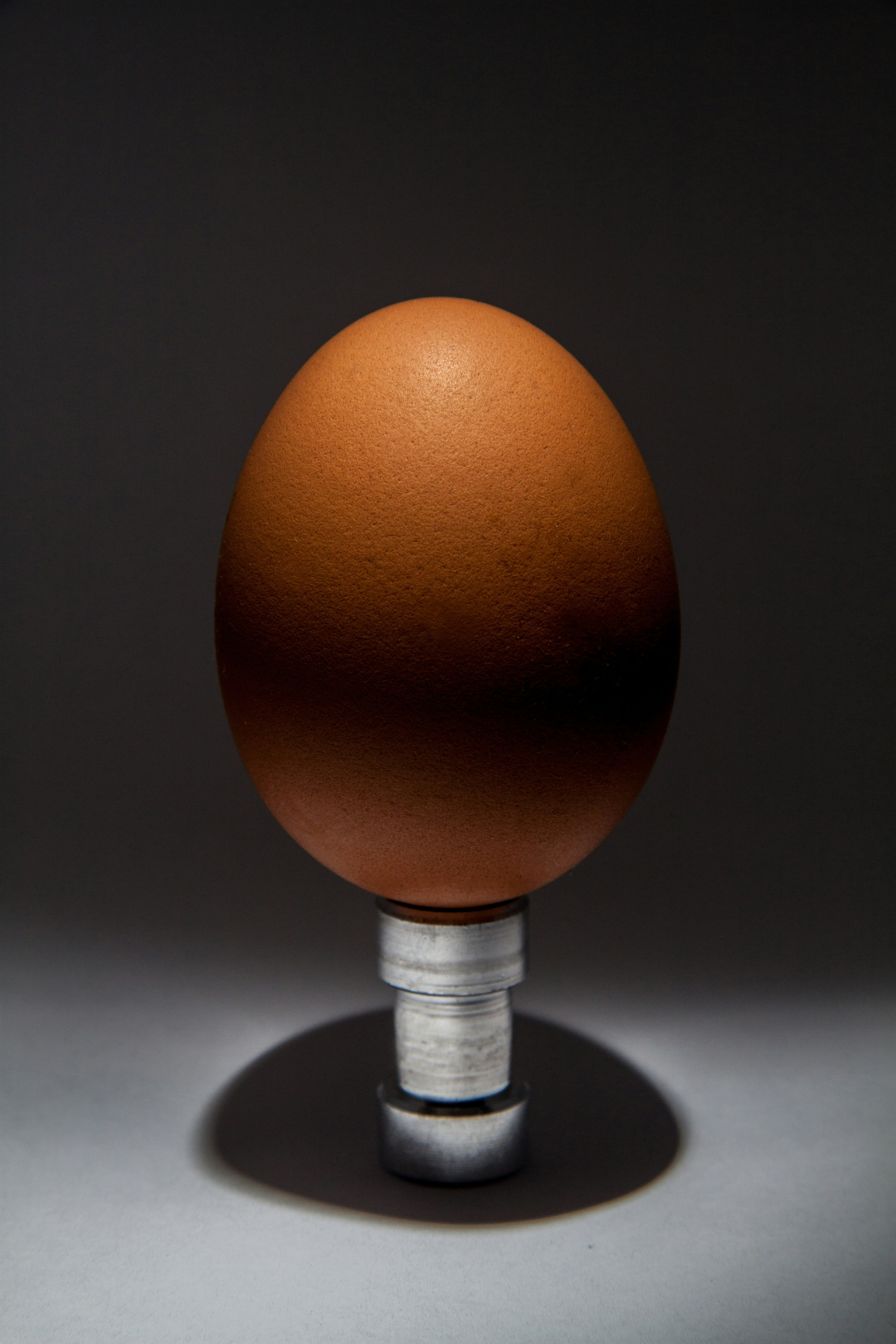 A brown egg balanced on a metallic holder, illuminated against a dark background, highlighting its smooth texture and contours.