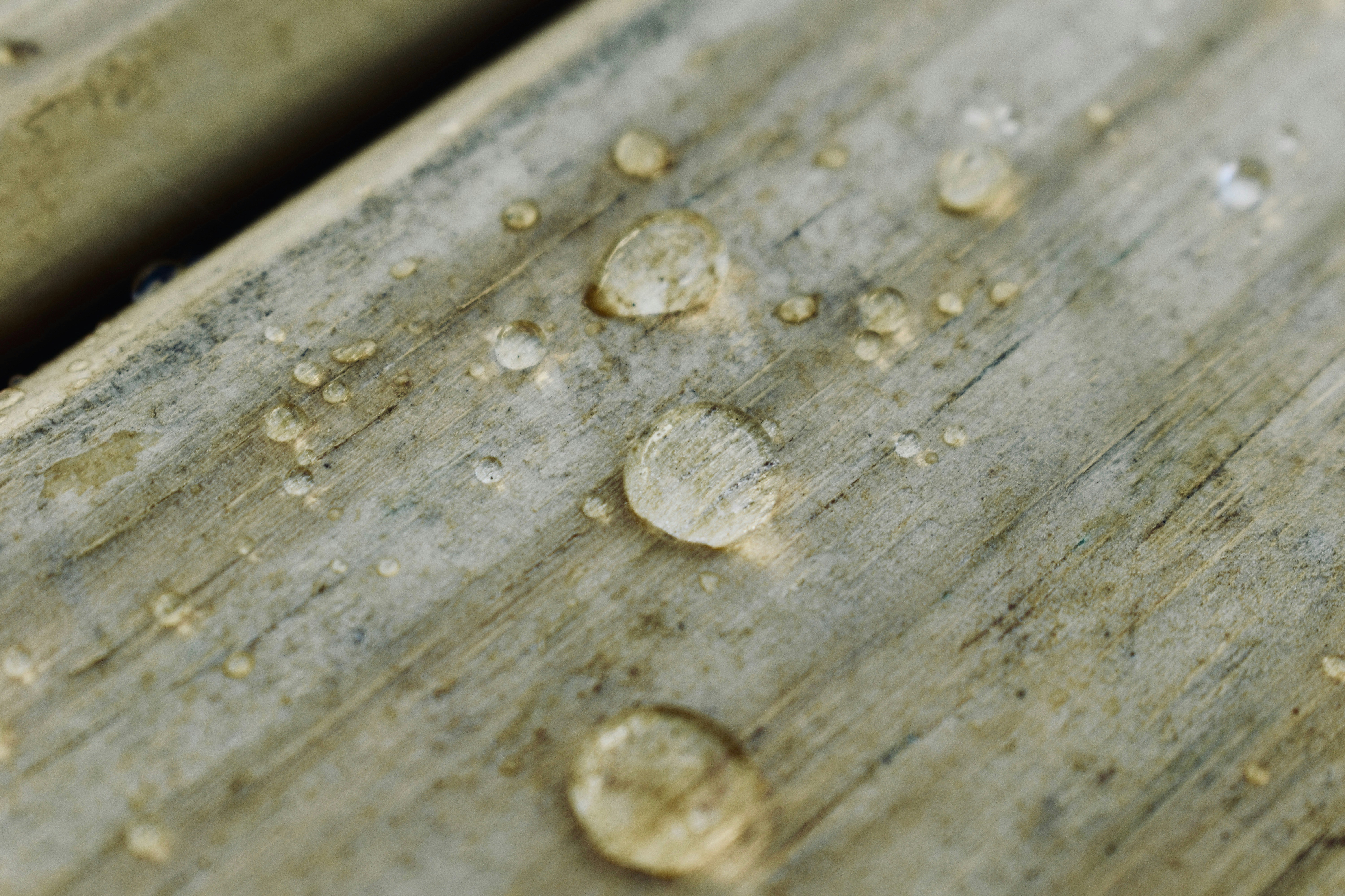 Glass Drops on Weathered Wood: a Macro Study in Texture and Light
