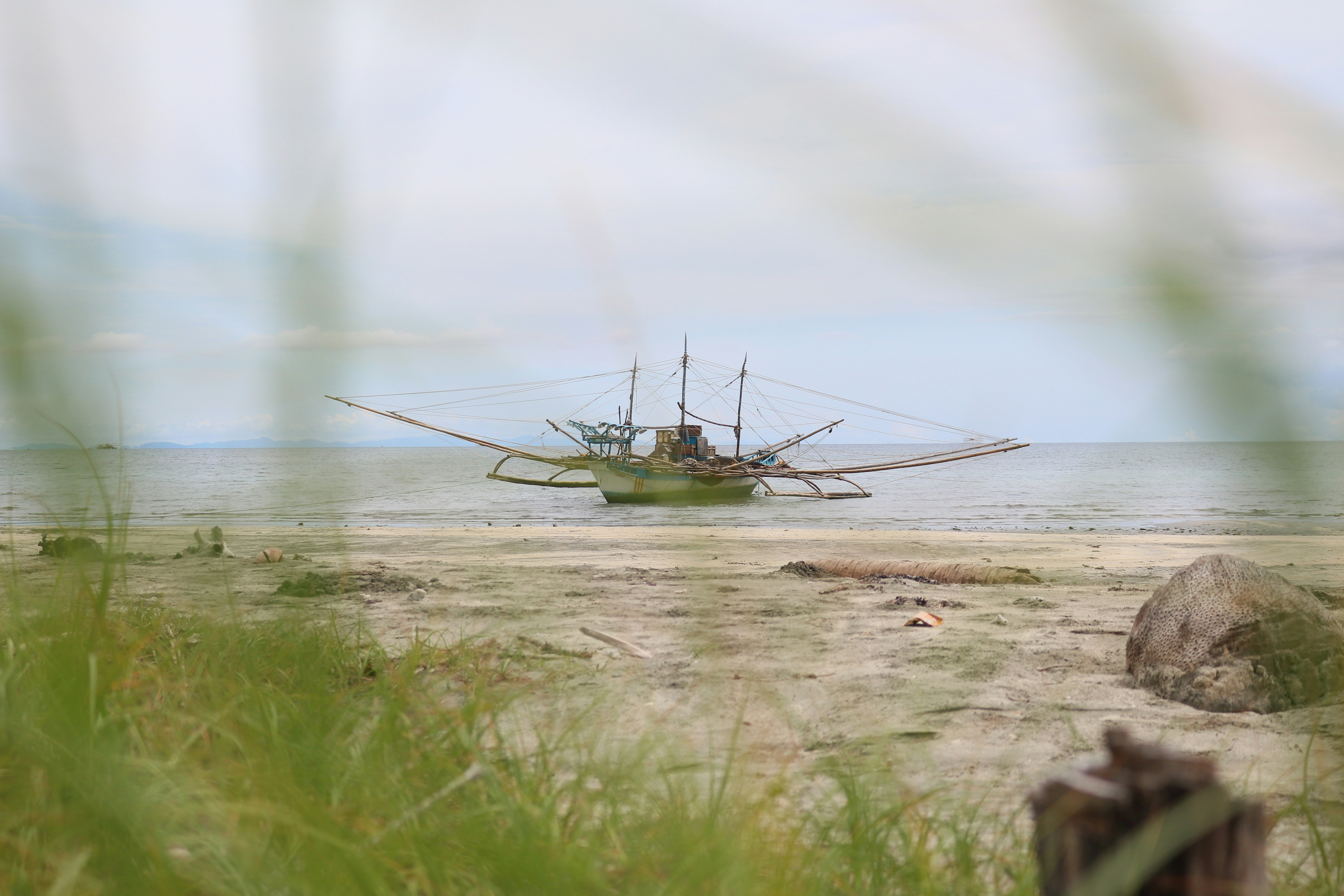 Dhow at the Quiet Tidal Edge, Framed by Shore Grass