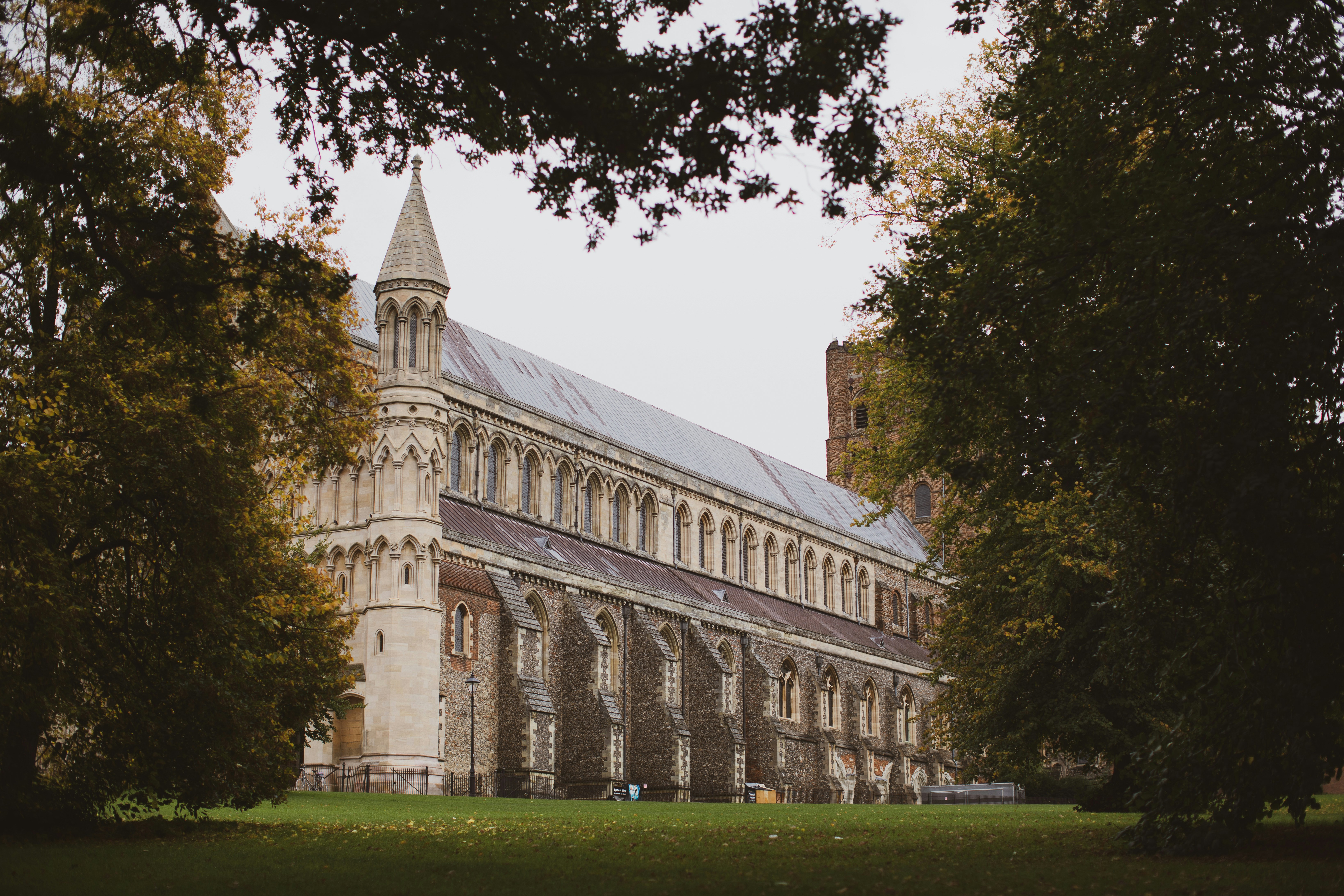 Building near trees during day photo – Free Plant Image on Unsplash