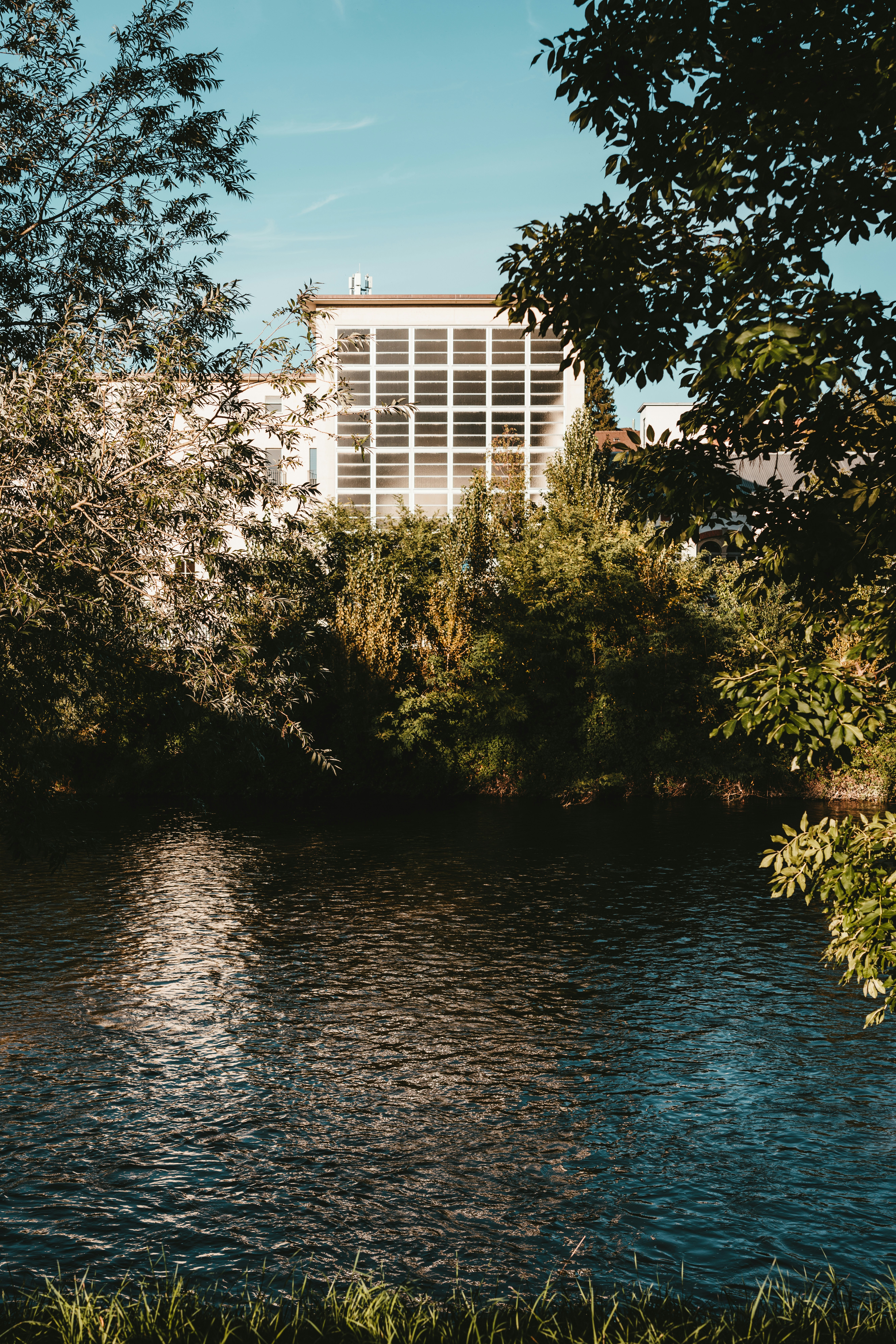 Trees near building photo – Free Building Image on Unsplash