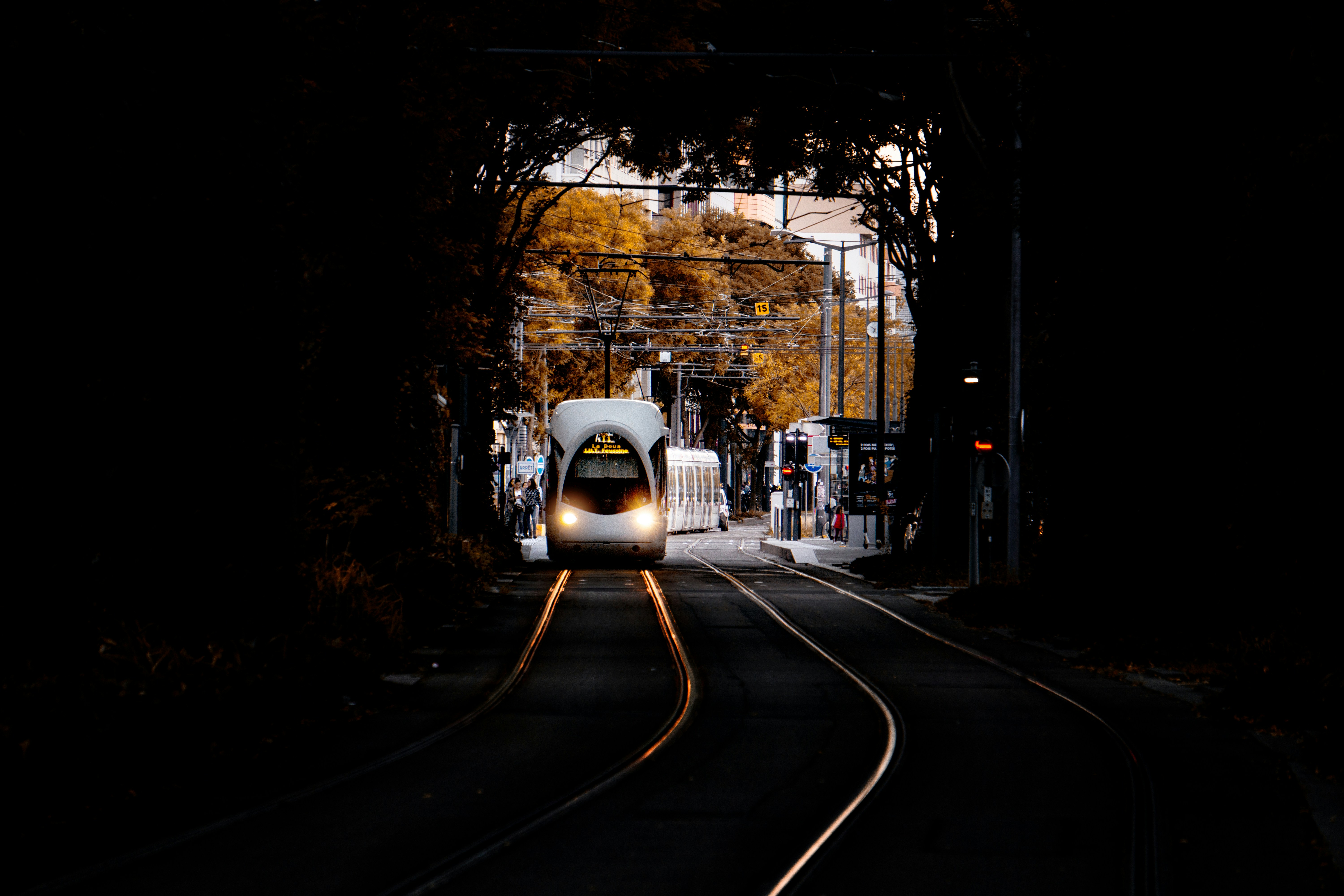 The Silver Nose of a Tram Gliding Through a Shadowed Tunnel