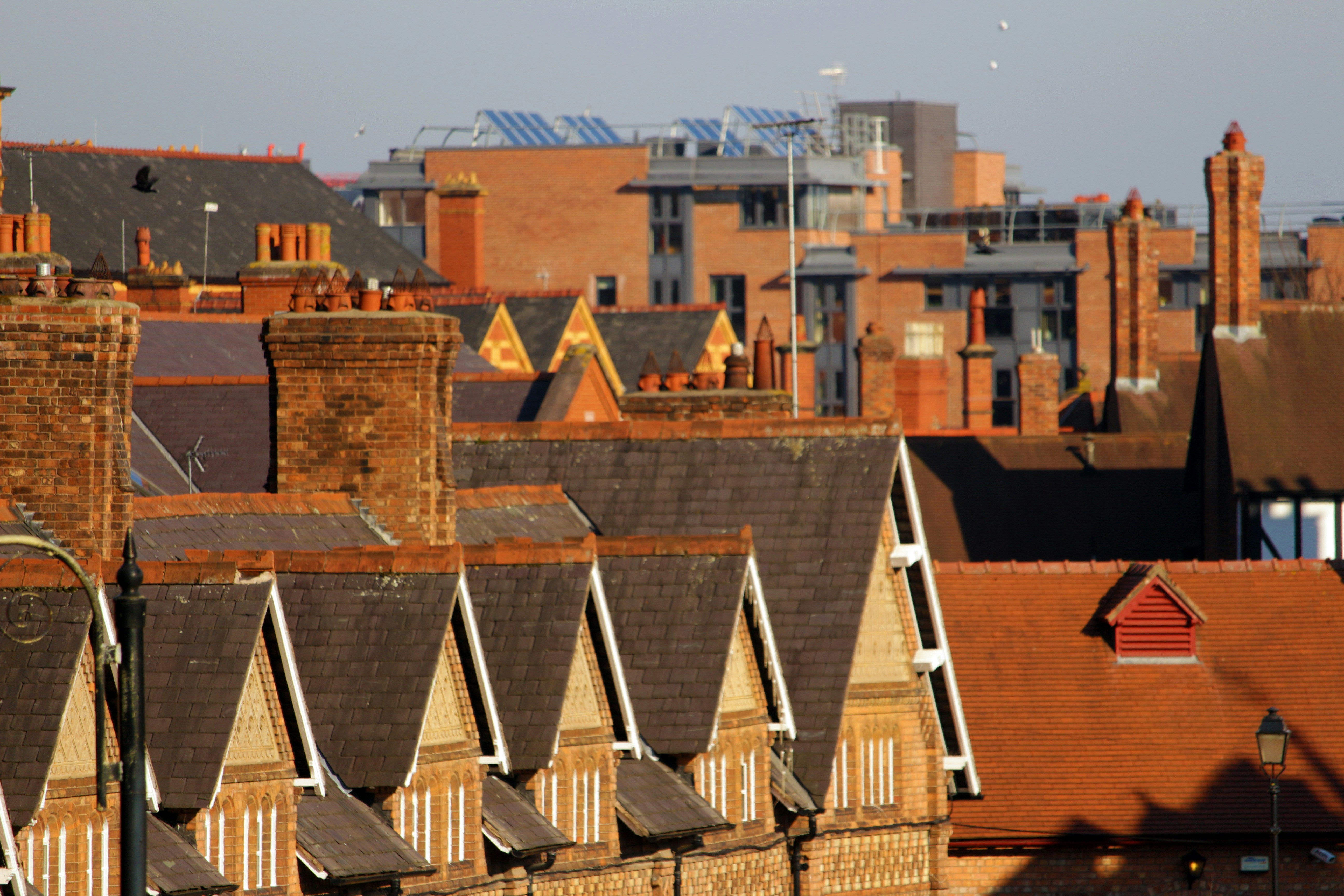 A view of a city with a lot of tall buildings photo – Free Chester ...