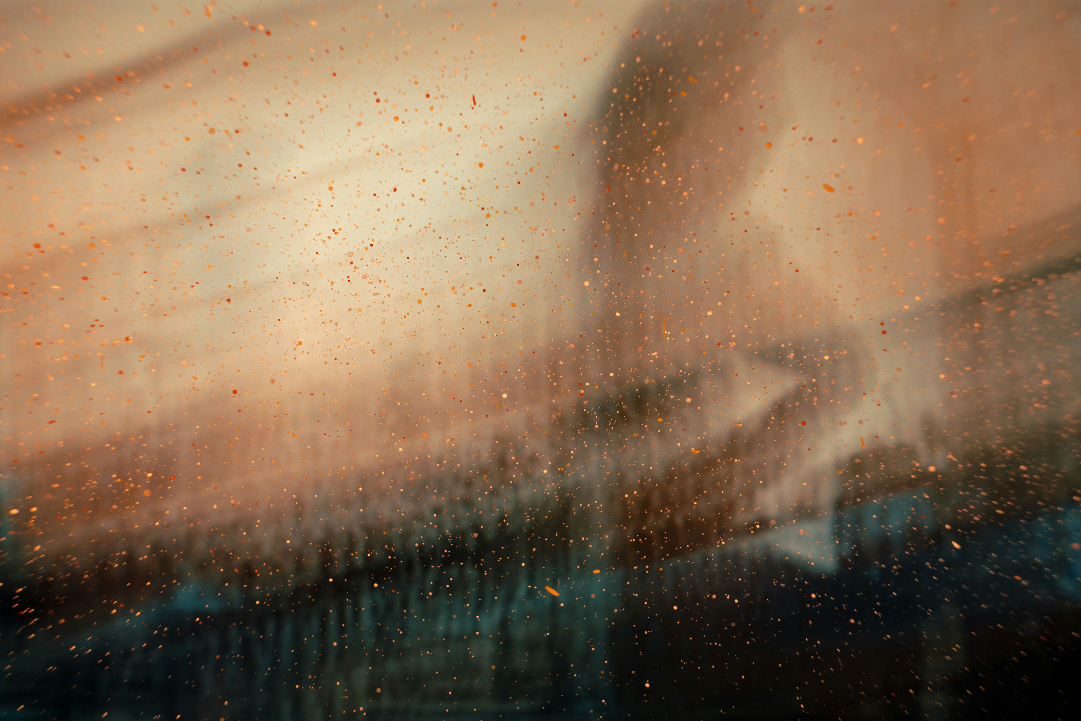 Enchanted Zoom Background