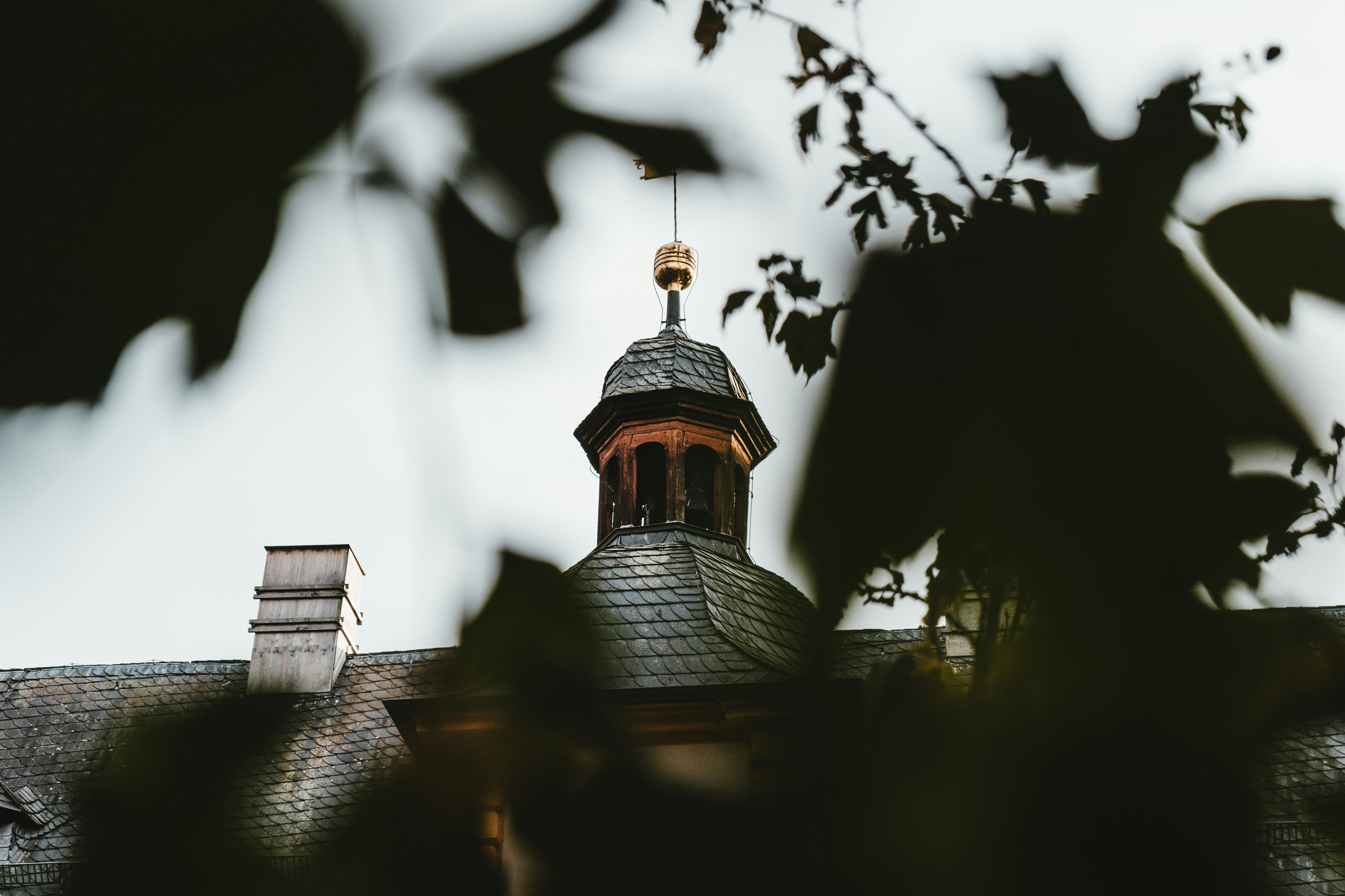 Cupola of a historic building framed by blurred tree leaves under a clear sky.