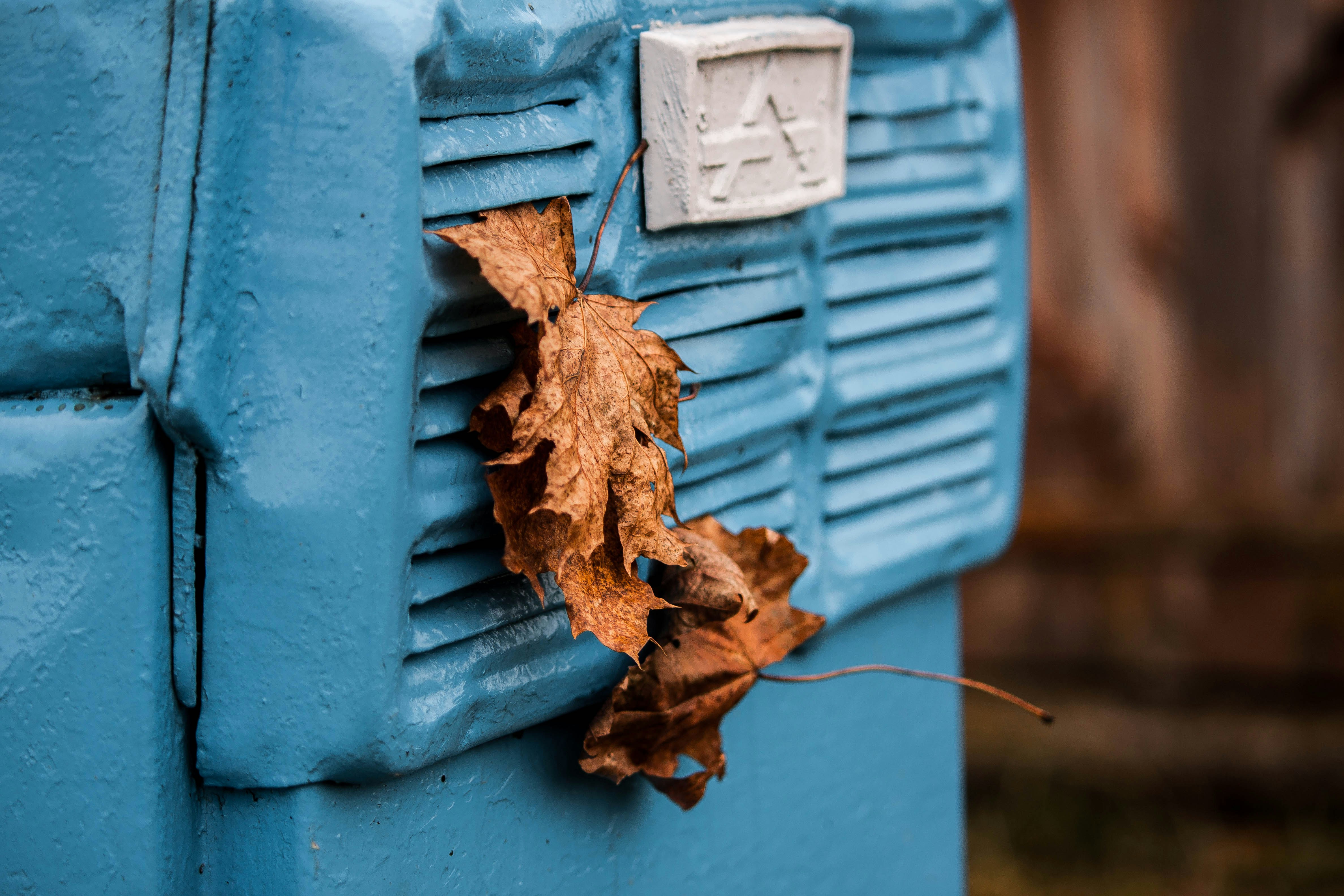 Autumn's Quiet Bookmark in a Blue Industrial Vent