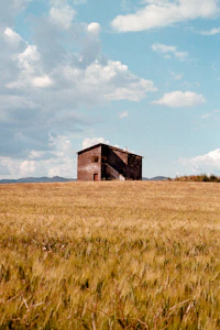 Lonely Sentinel of the Fields