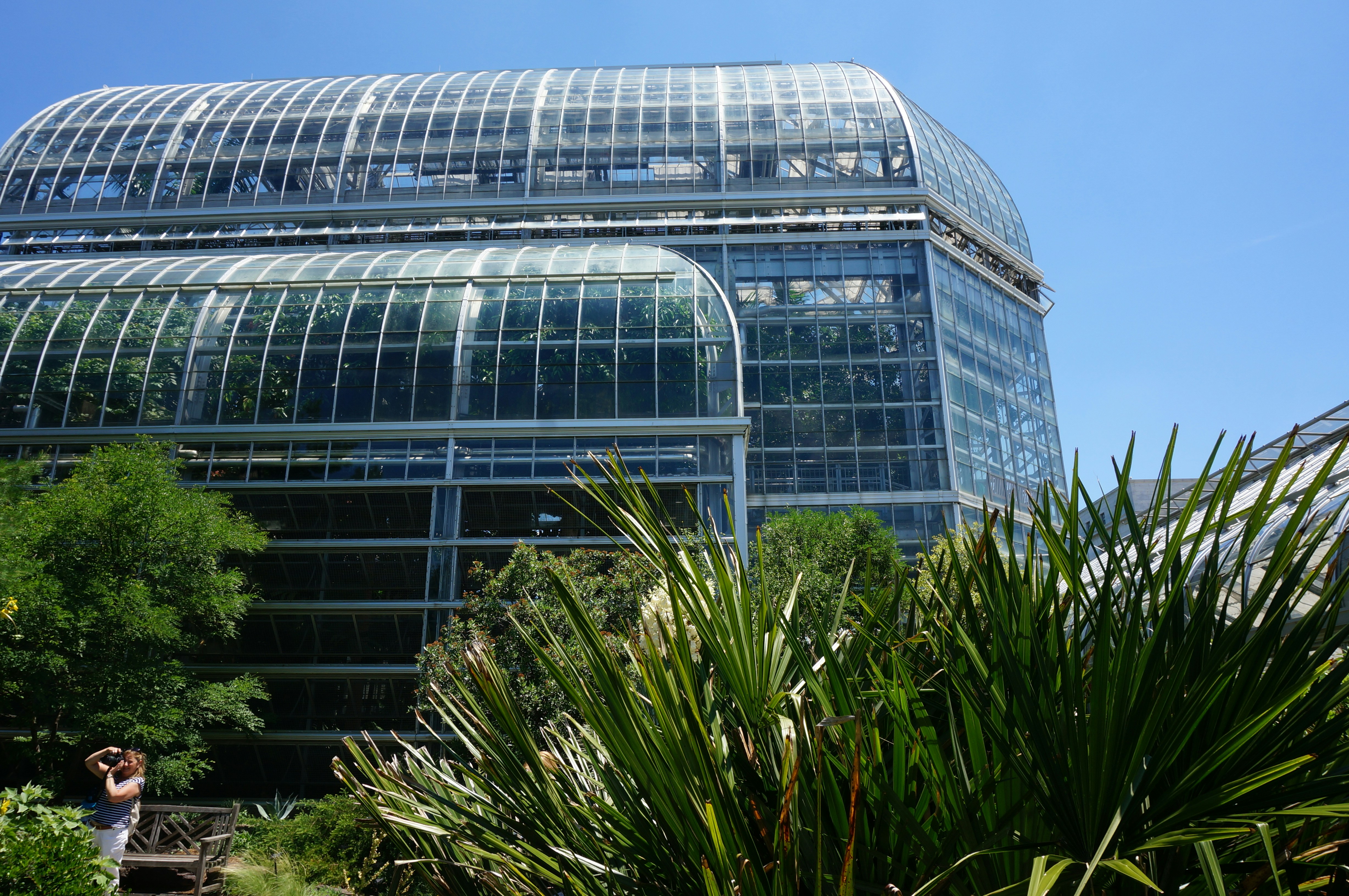 Modern greenhouse structure surrounded by lush greenery, showcasing a blend of nature and architectural design.