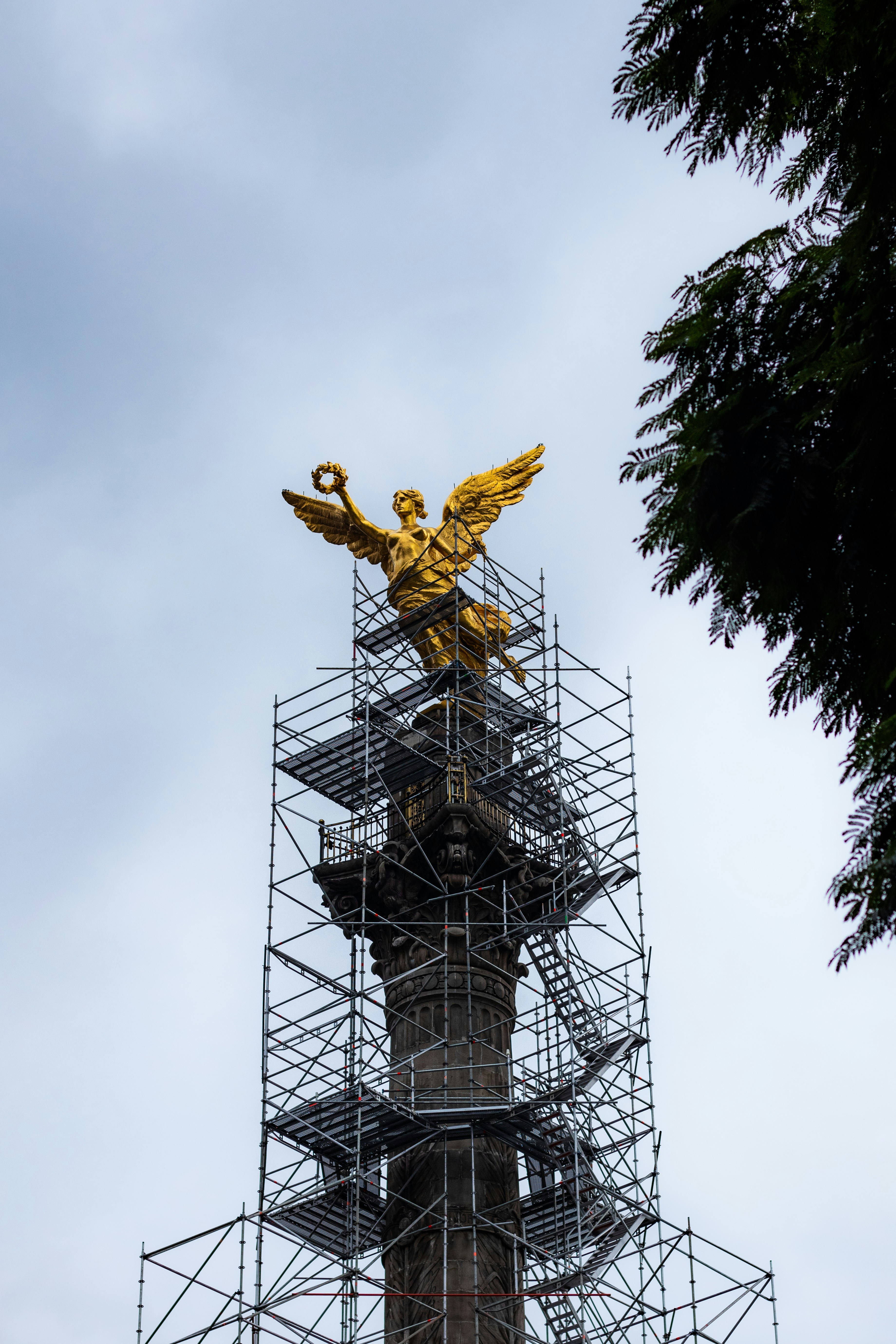 Gold-winged Guardian Rising Through the Scaffolding