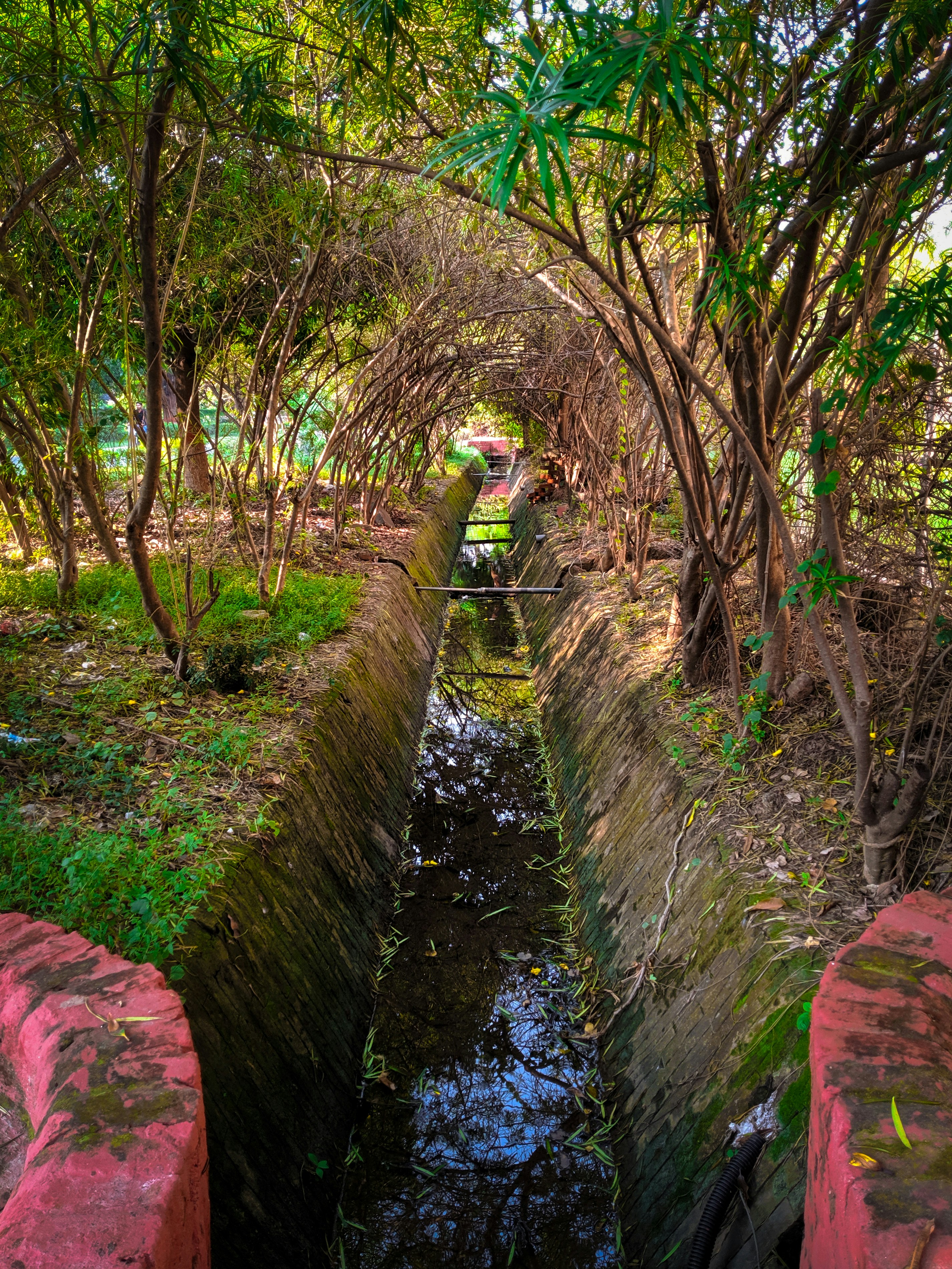 Y R (@heroheeralal) | Unsplash Photo Community