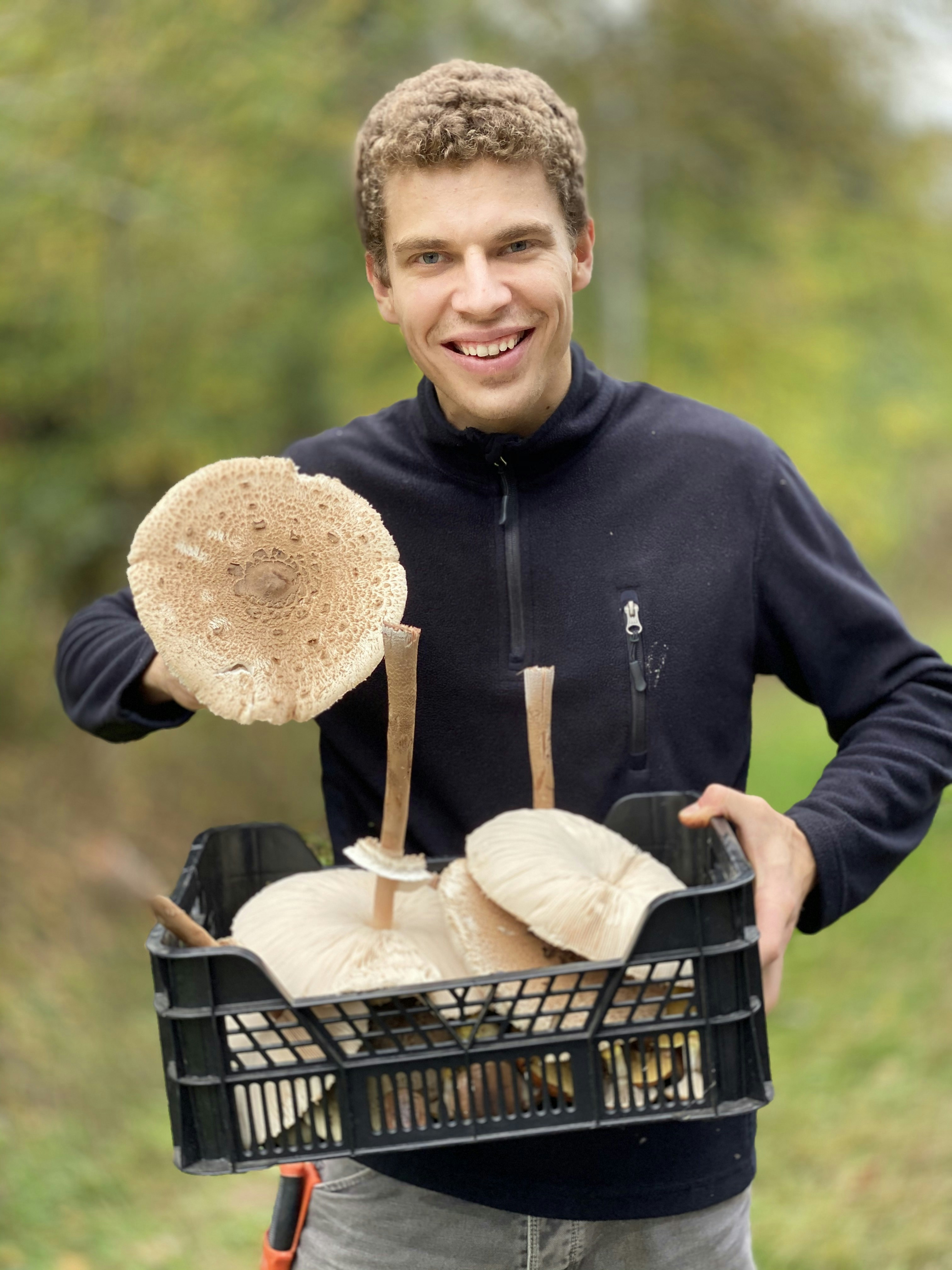 Crate of Giants: Autumn Mushrooms and a Friendly Harvester
