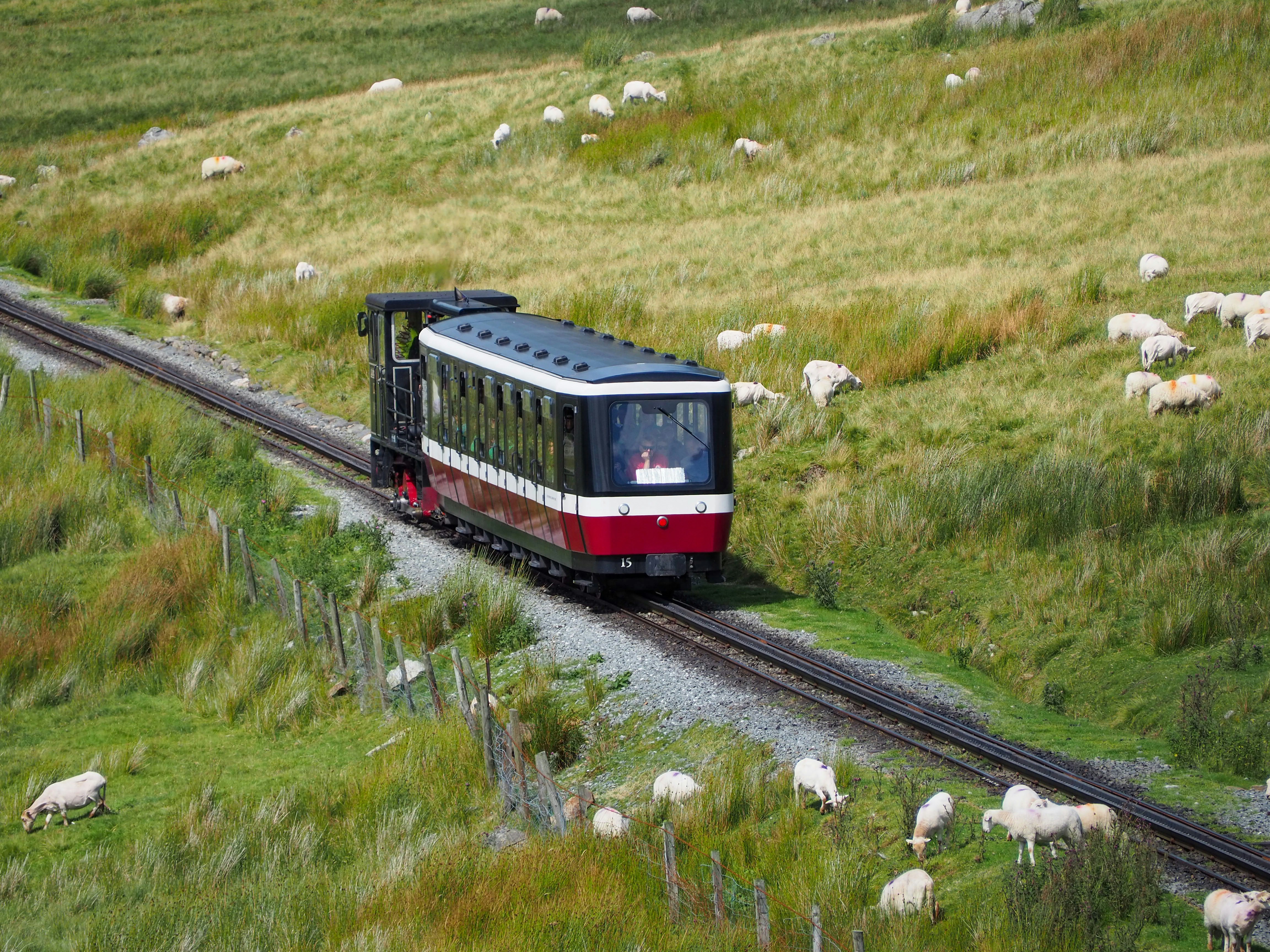 Black and red train between grass field photo – Free Verenigd ...