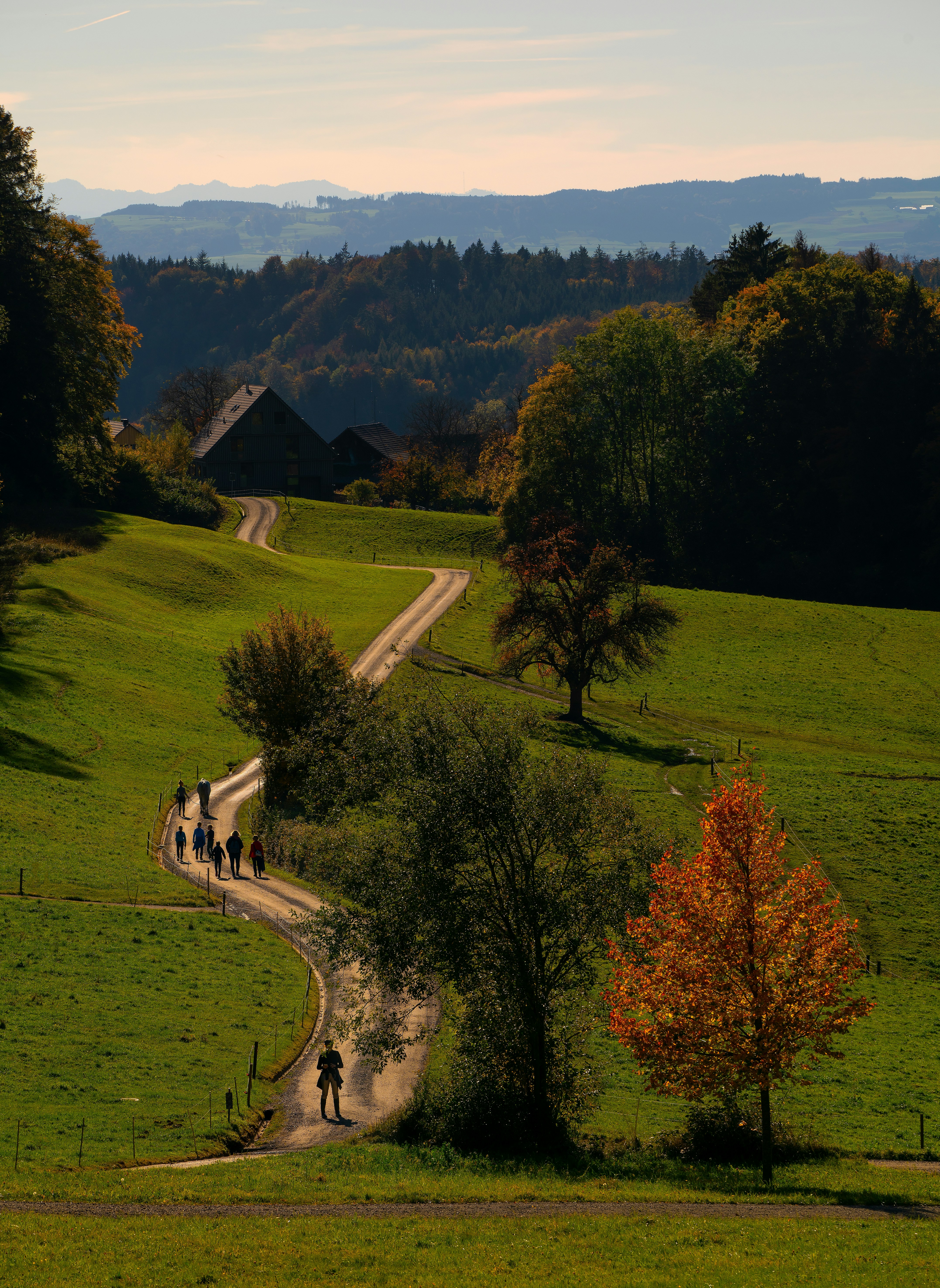 A serene winding road meanders through a lush green landscape, dotted with trees showcasing vibrant autumn foliage. A group of hikers strolls along the path, enjoying the tranquil scenery.