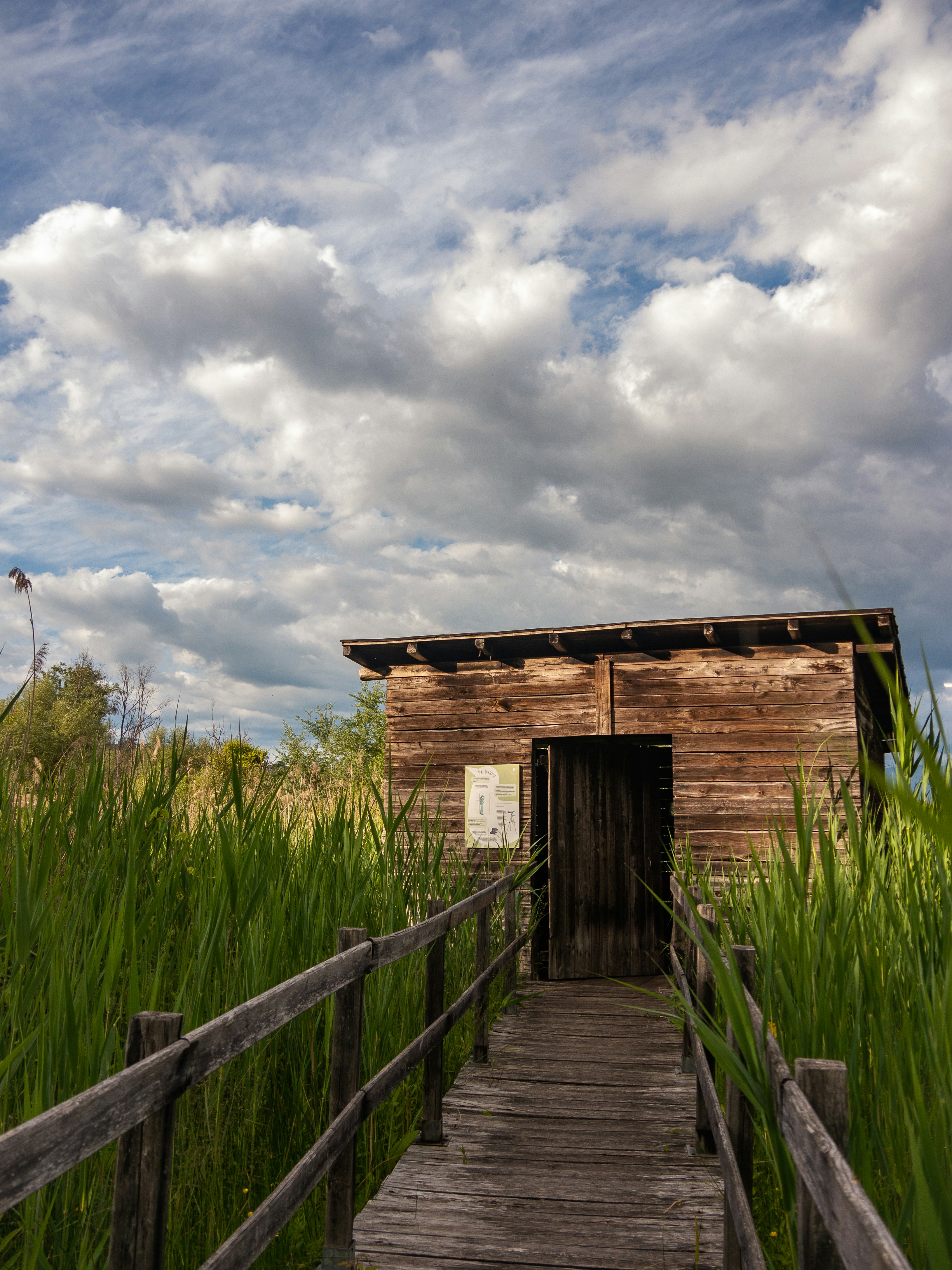 Wooden pathway leading to a rustic cabin surrounded by tall grass under a dramatic sky.
