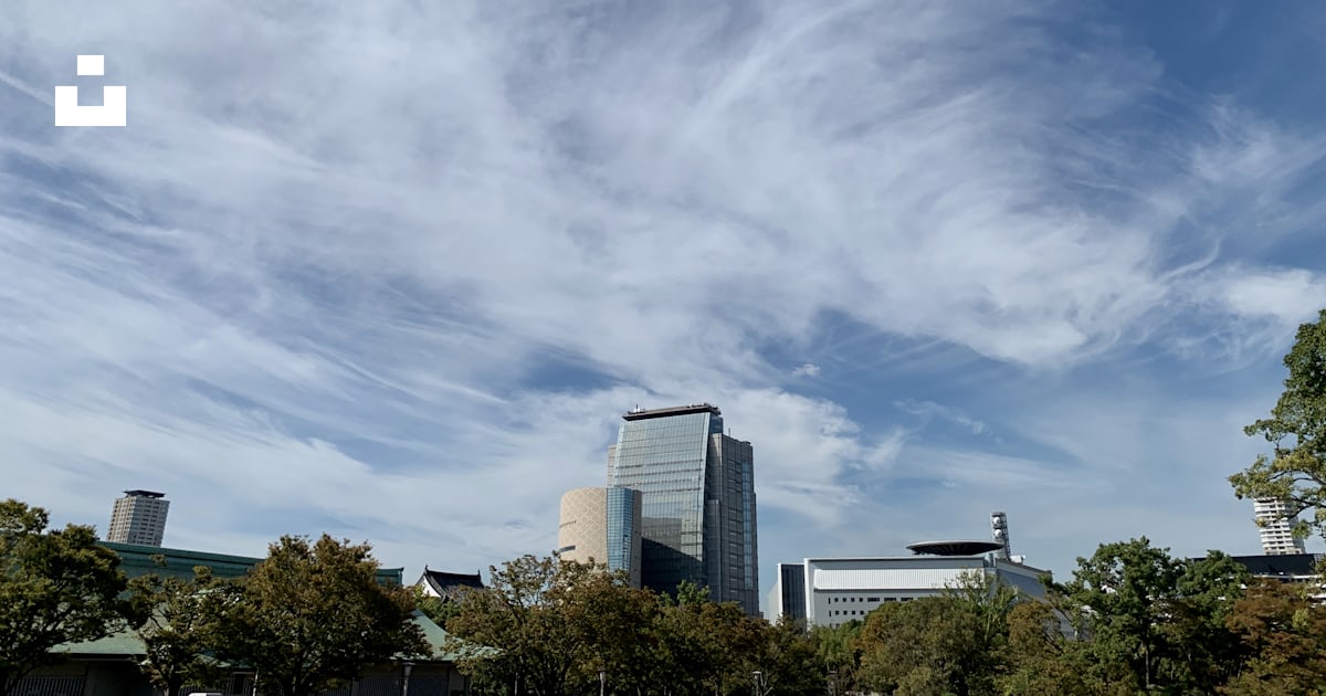 昼間は白と青の空の下、緑の木々の近くに高層ビルが立ち並ぶ街の写真 Unsplashの青いの無料画像