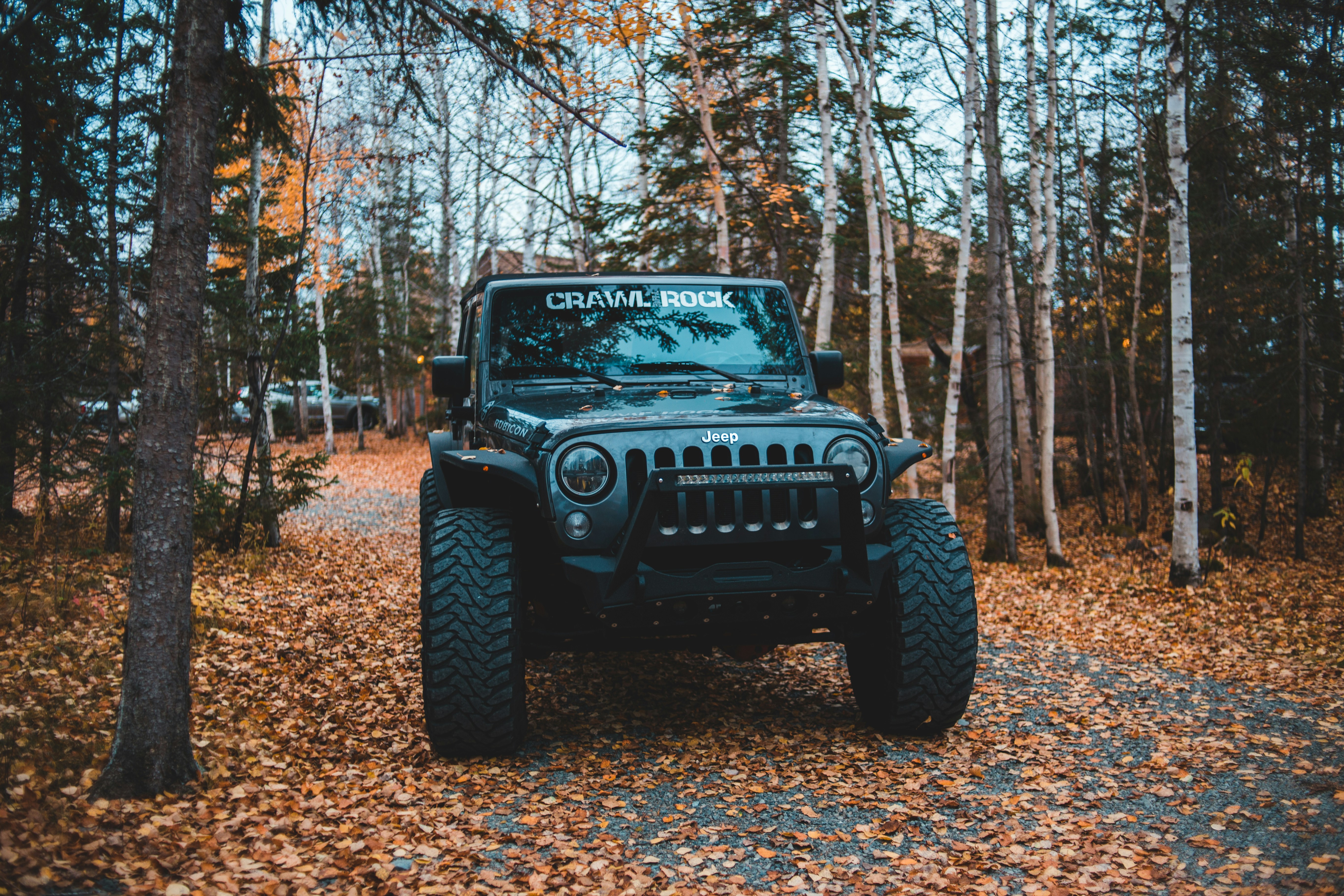 Black Jeep Wrangler park between trees during daytime photo – Free ...