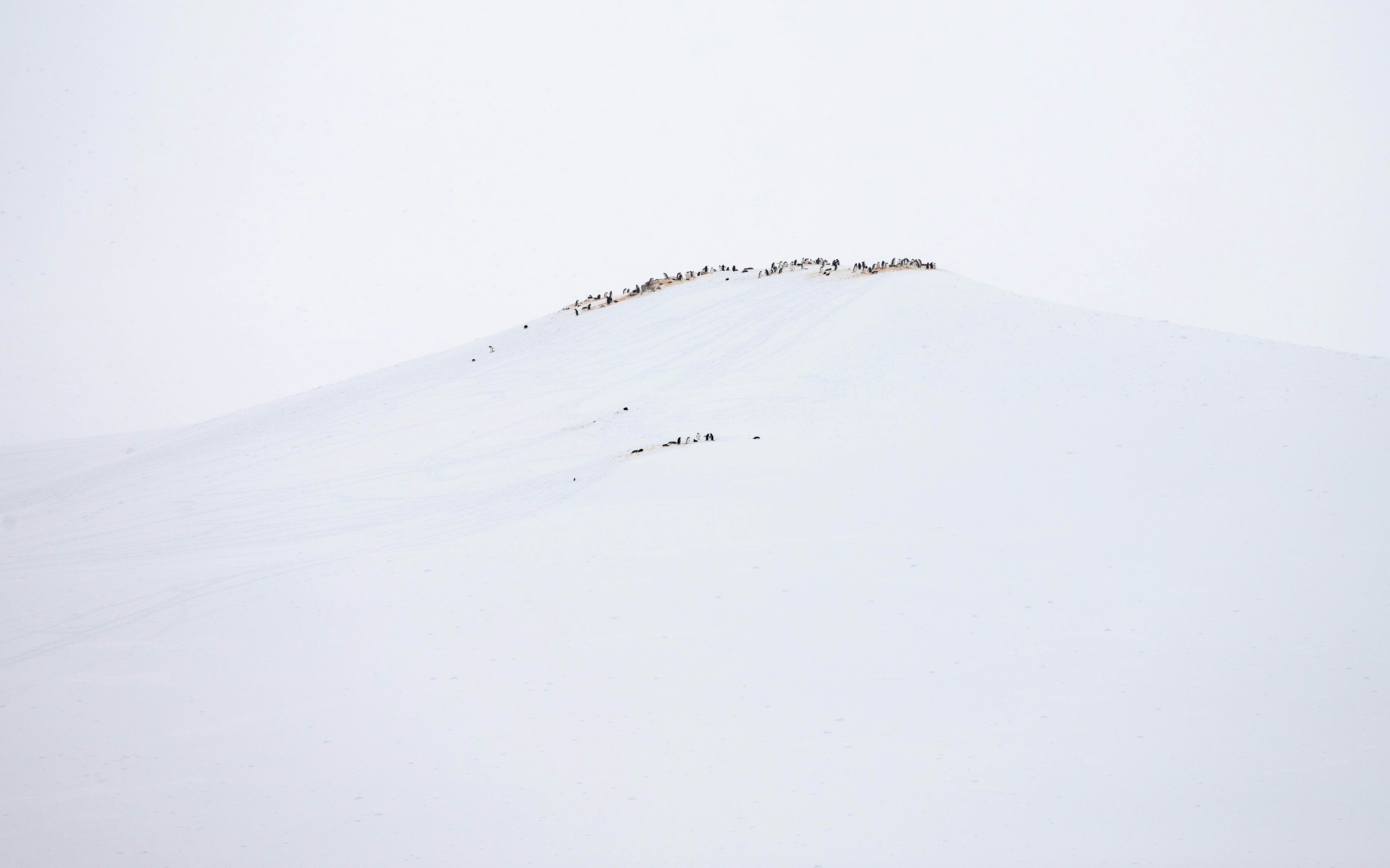 Snow during daytime photo – Free Blue Image on Unsplash