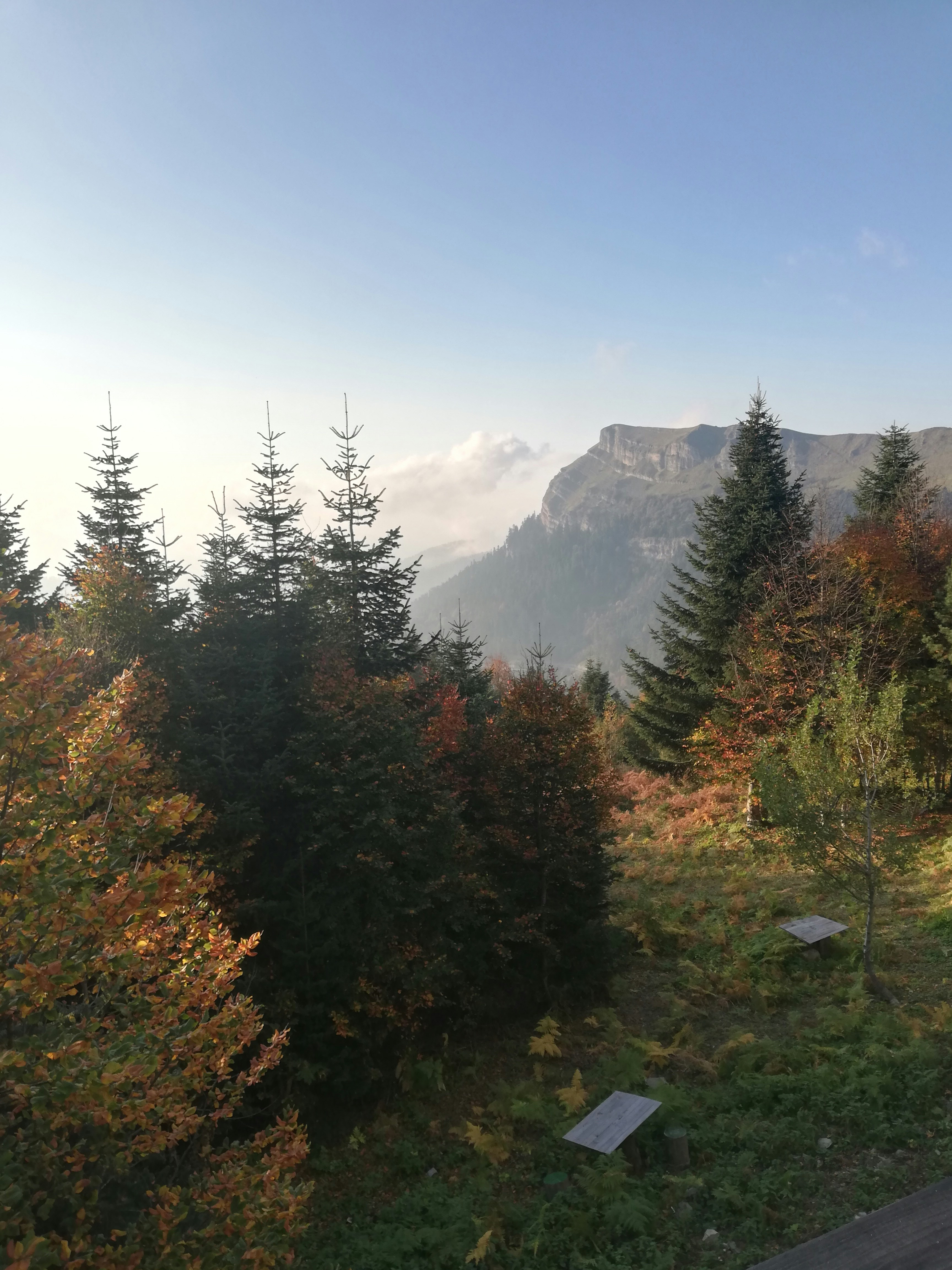 Vibrant autumn foliage frames a serene mountain landscape, shrouded in soft morning mist. The scene invites tranquility and reflection.