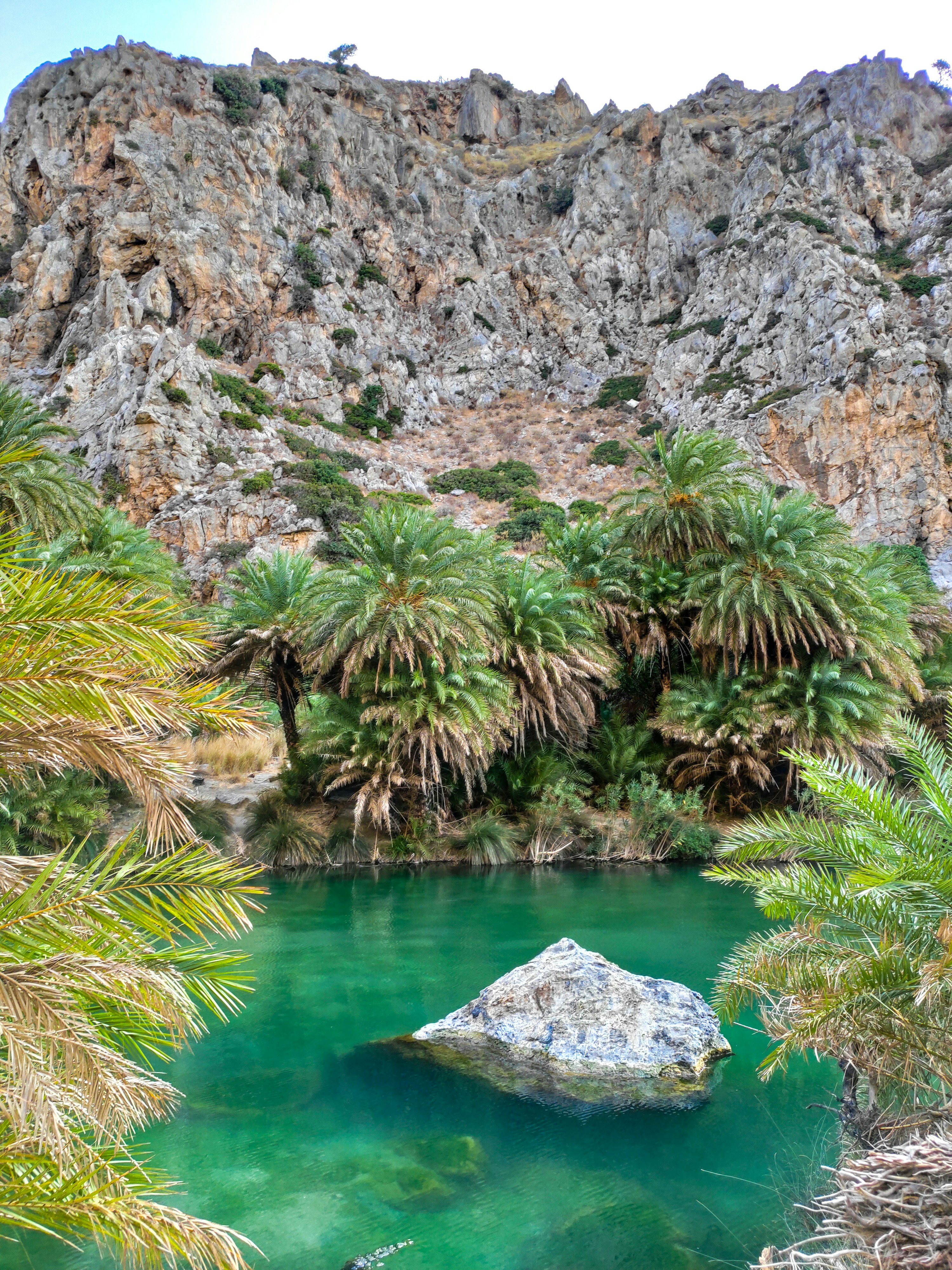 Lush palm trees surround a tranquil turquoise pool, with a prominent rock in the center, set against a backdrop of rugged cliffs.