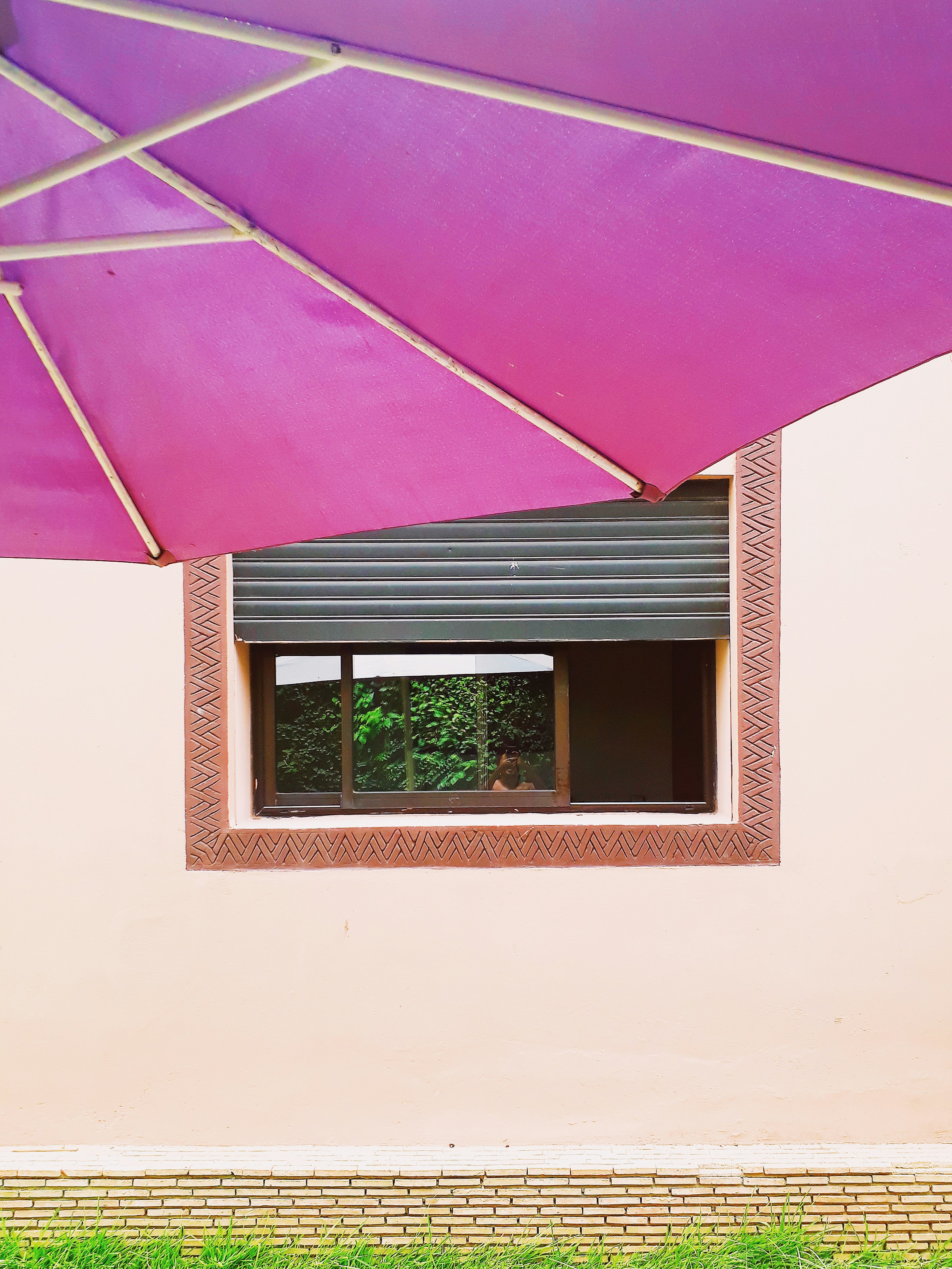 Magenta Umbrella Framing a Peach Wall: A Verdant Window View