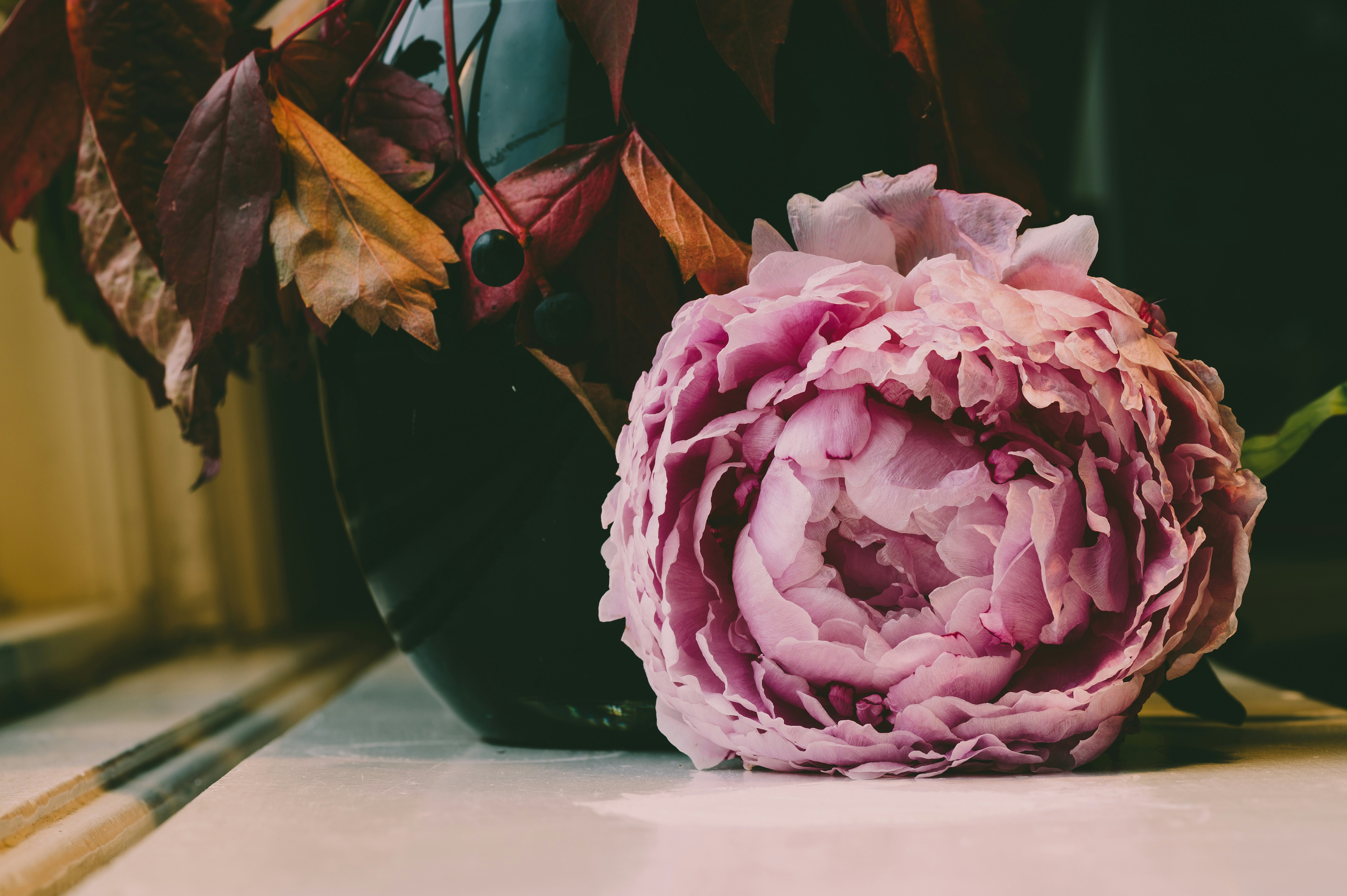 Définition de décadence | Dictionnaire français