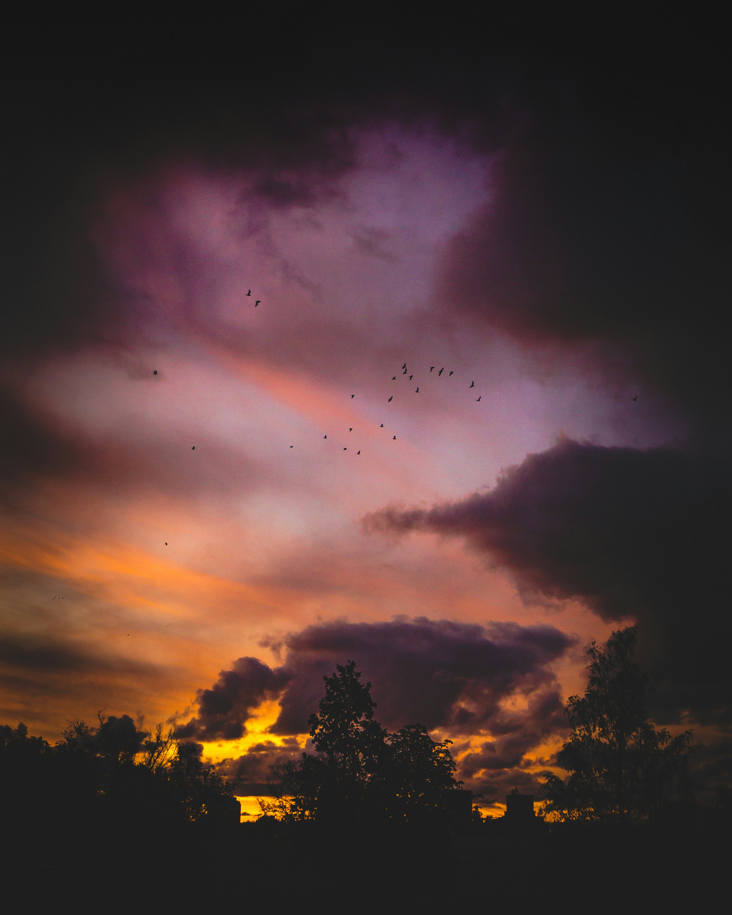 Last Light Over Velvet Clouds: A Flock's Quiet Flight