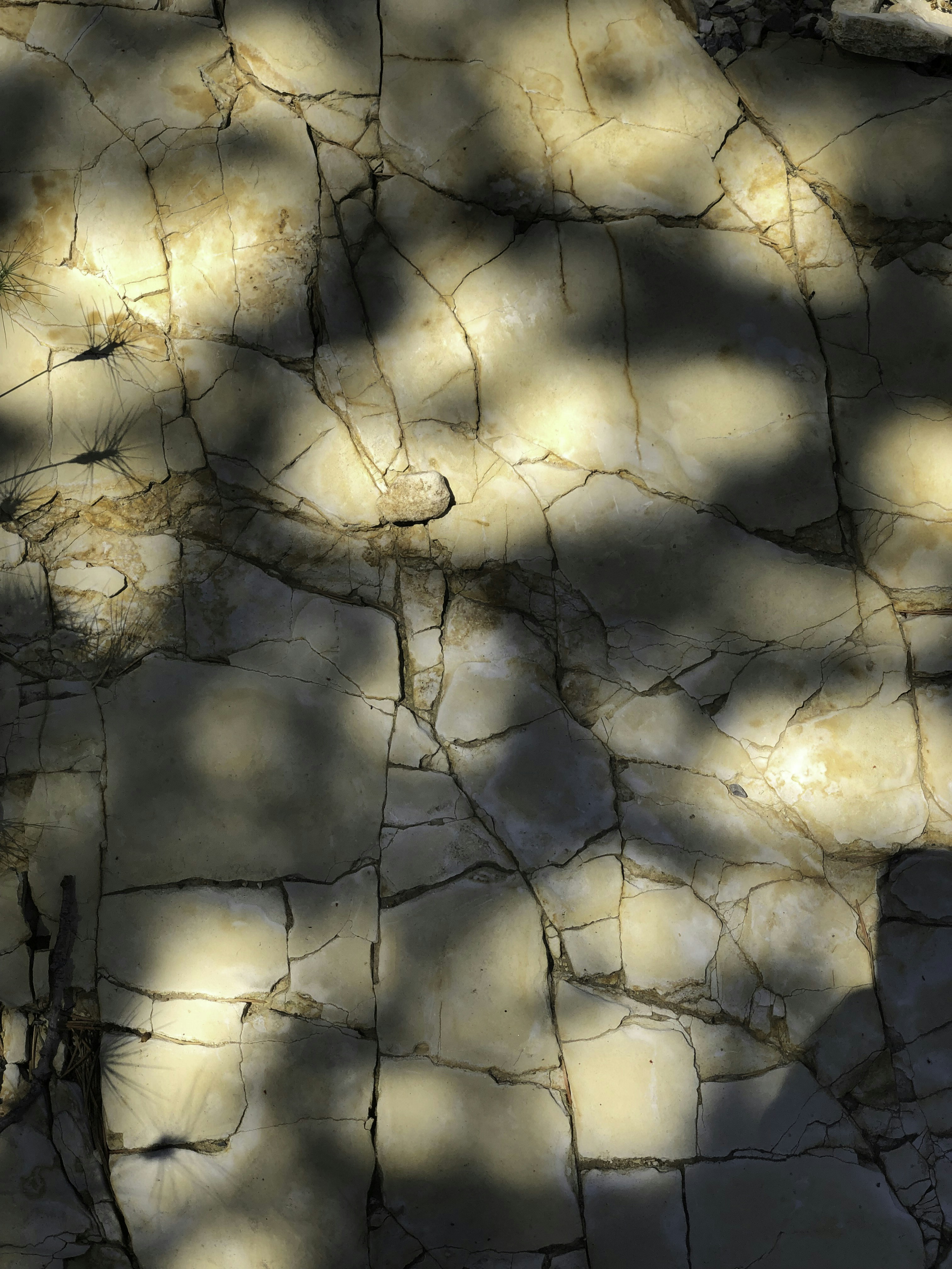Intricate patterns of cracked earth illuminated by dappled sunlight, showcasing the textures and shadows of the natural landscape.