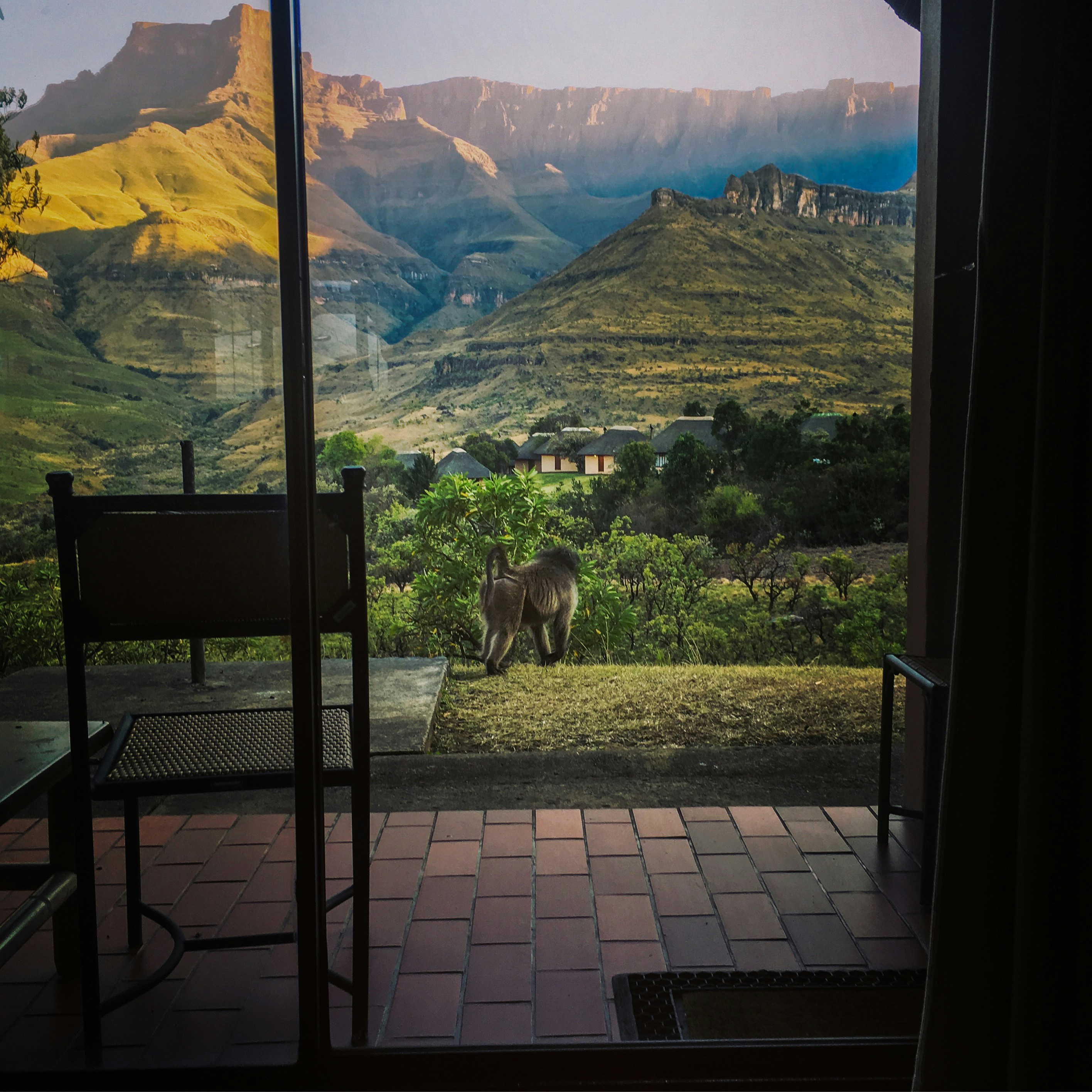 Lion at the Terrace: A Mountain Village in Sight
