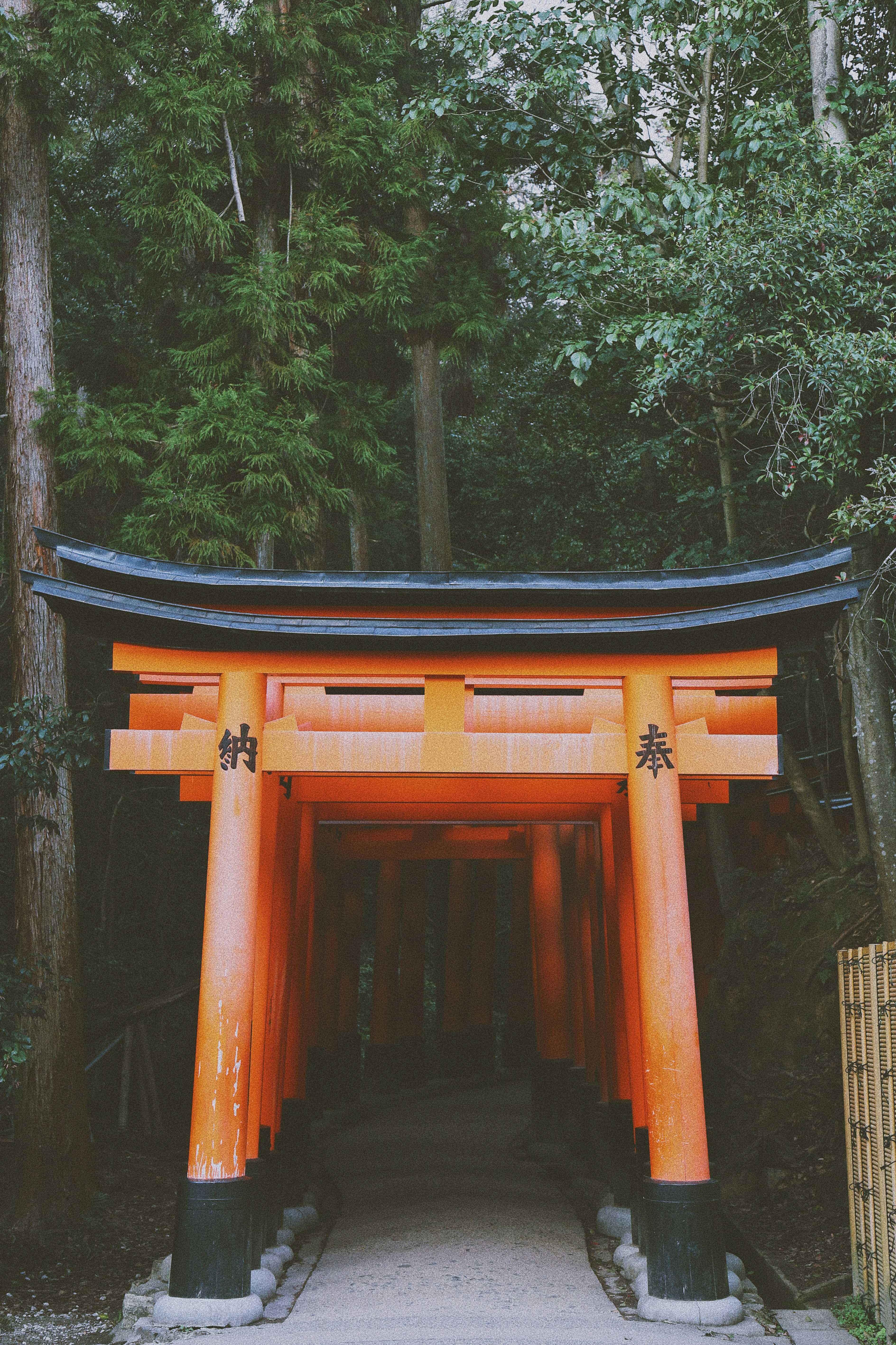 Orange Tori gates photo – Free 伏见区京都市京都府日本 Image on Unsplash