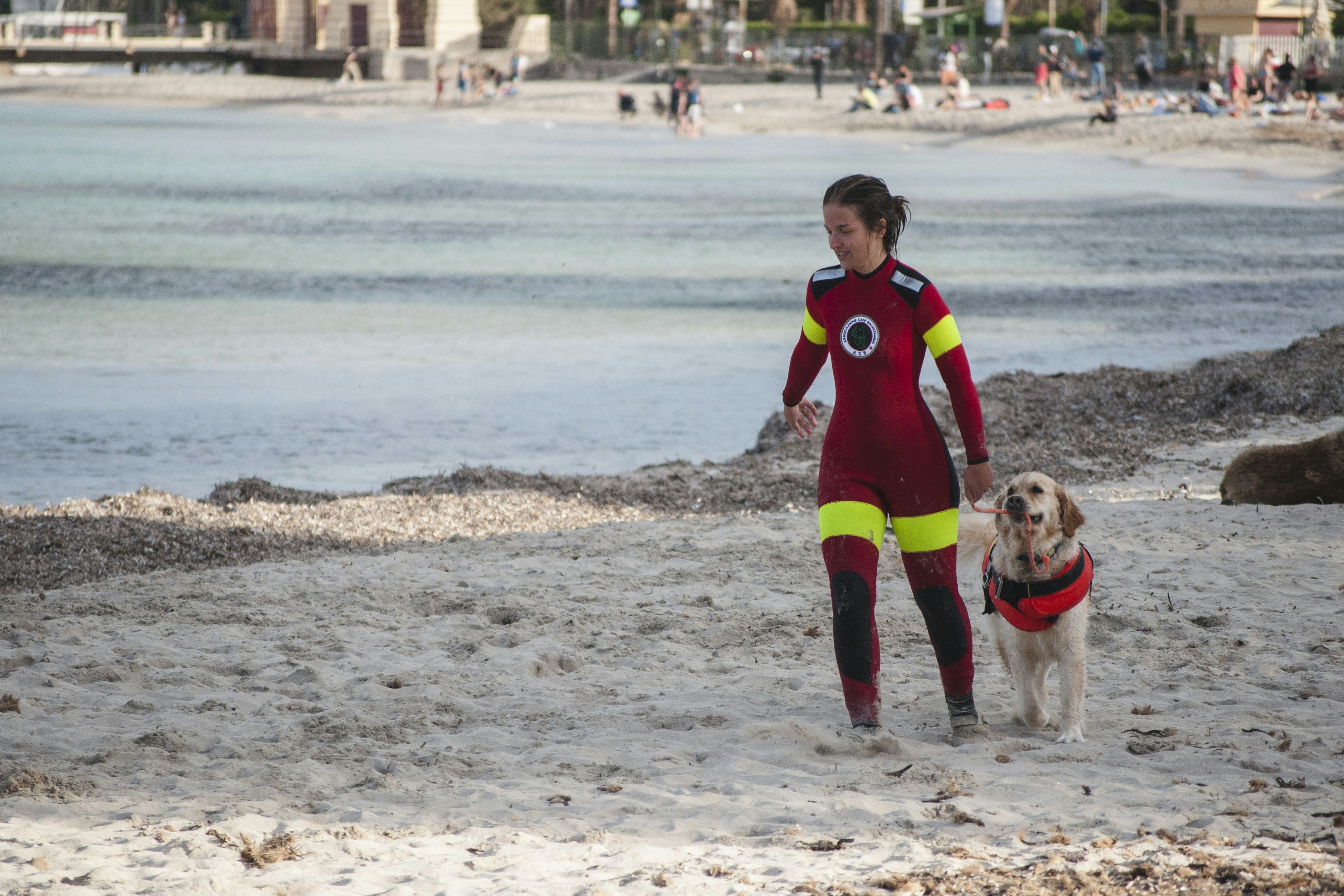 Foto Mujer con mono rojo al lado del perro marrón – Imagen Persona ...